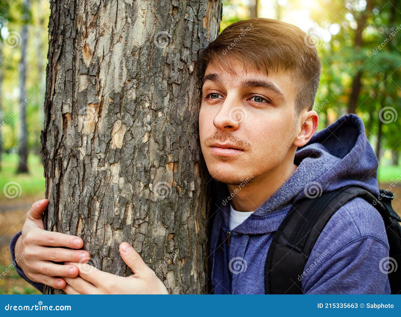 Man with a Tree stock image. Image of nature, pine, park - 215335663