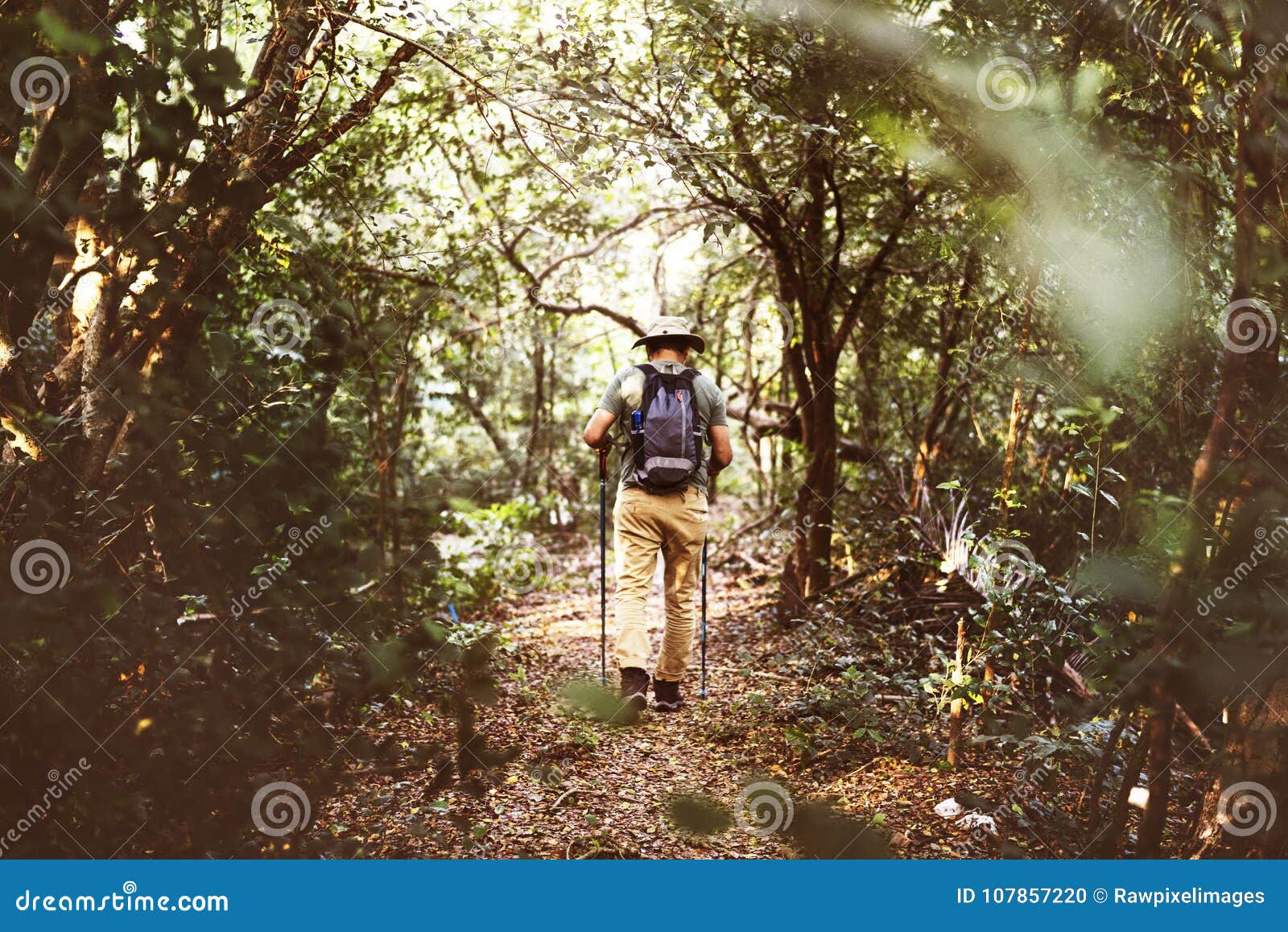 Man trekking in a forest stock photo. Image of journey - 107857220