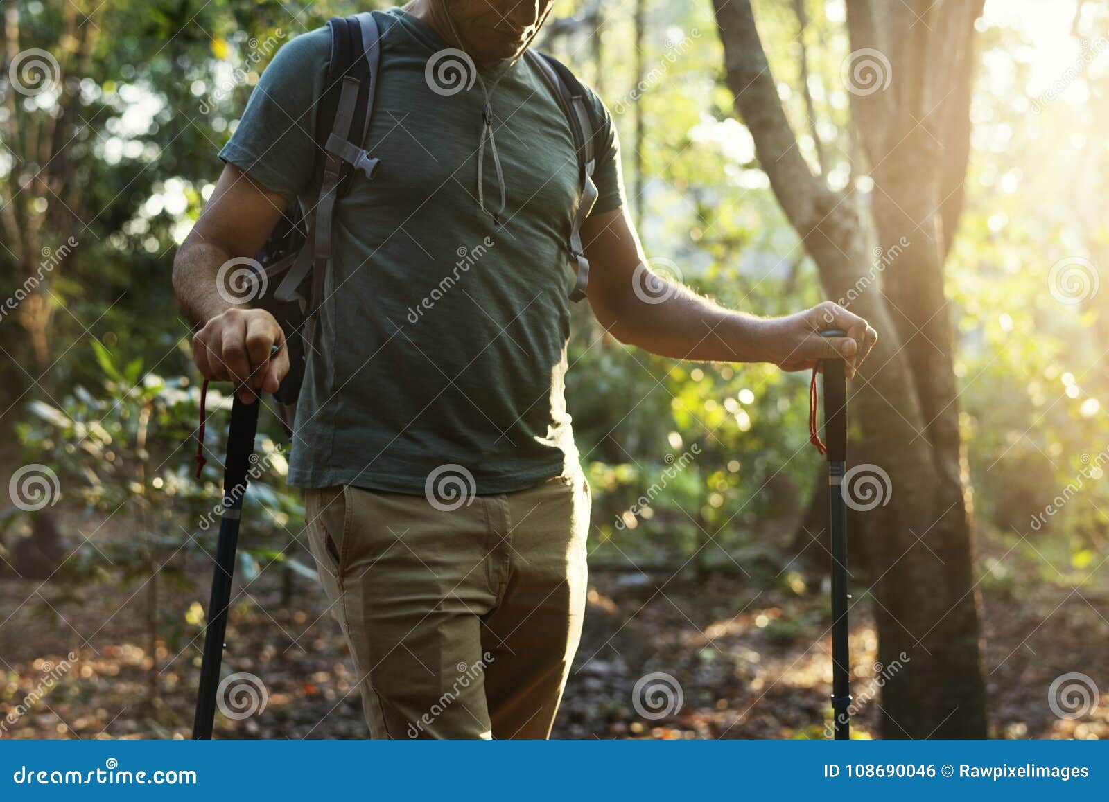 Man trekking in a forest stock photo. Image of outdoor - 108690046