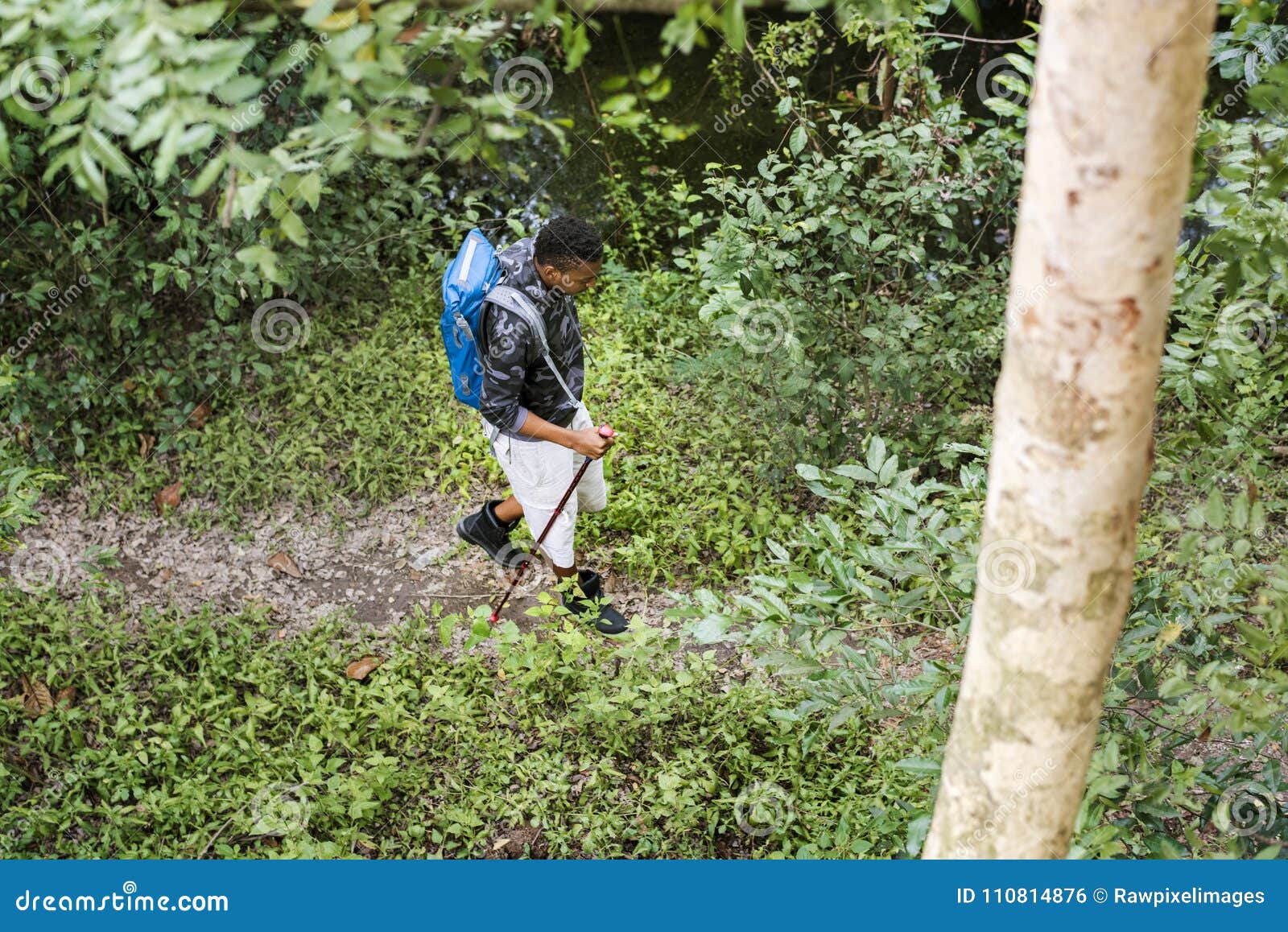 Man Trekking in a forest stock photo. Image of adventure - 110814876