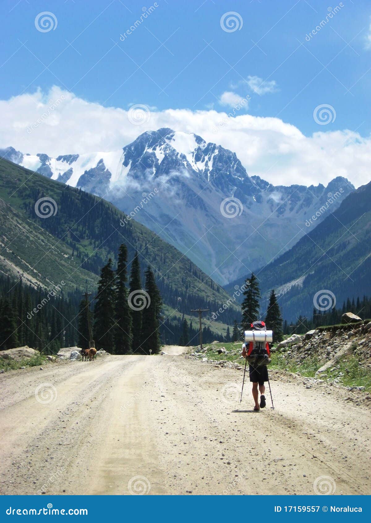 Man trekking in mountain stock image. Image of forest - 17159557
