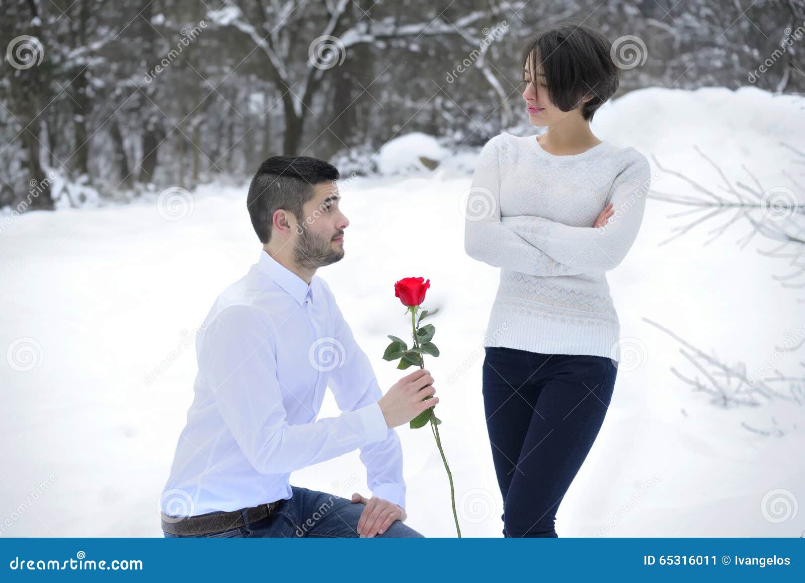 Man Tries To Apologize with Rose Stock Image - Image of forgiveness ...