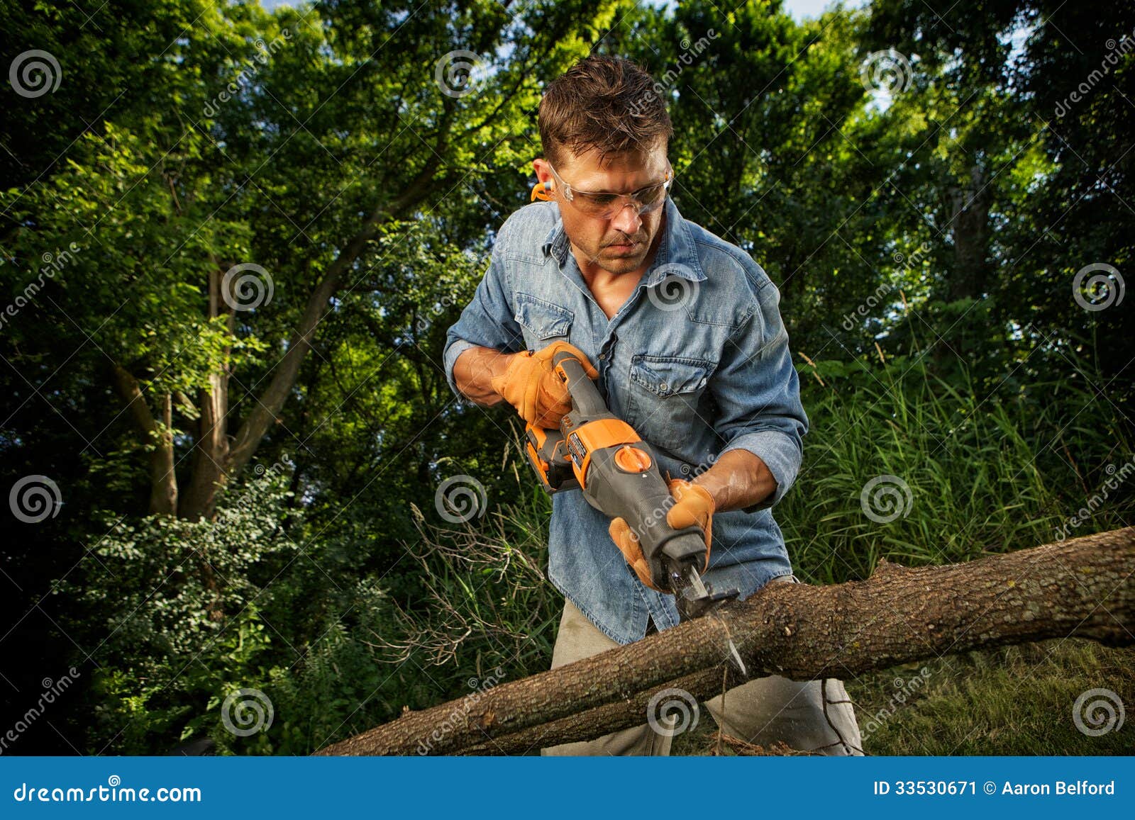Man Trimming Branches stock image. Image of debris, handyman - 33530671