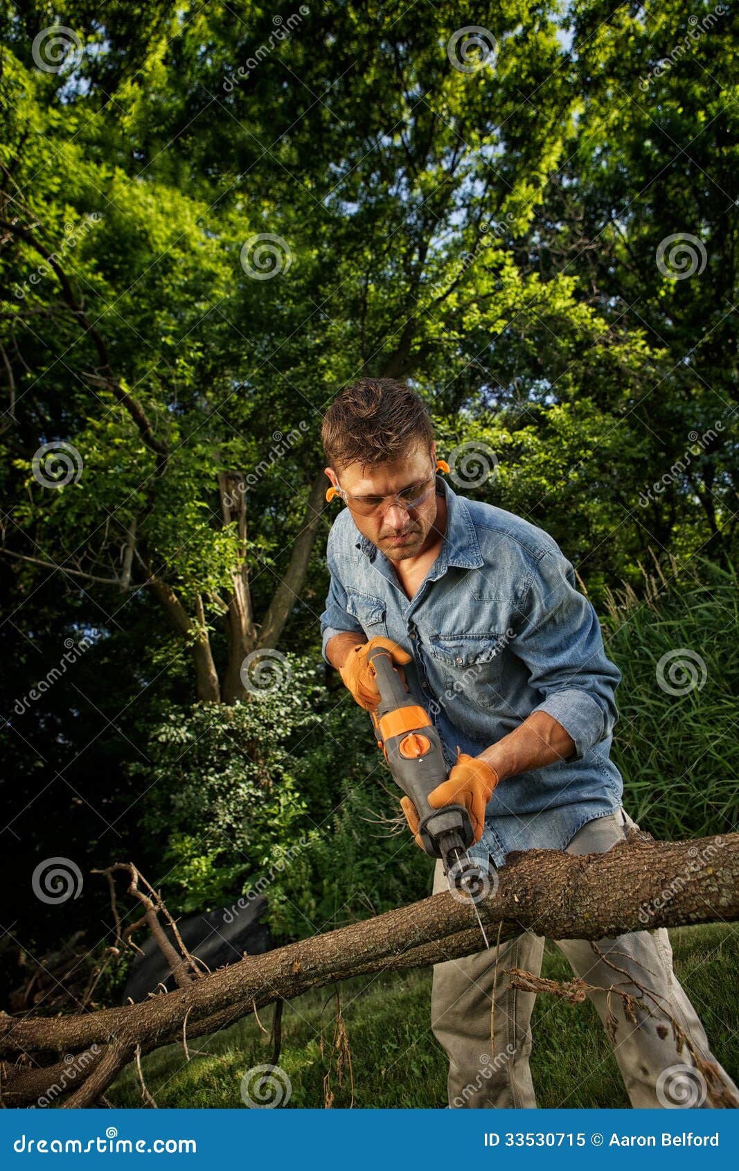 Man Trimming Branches stock image. Image of forestry - 33530715