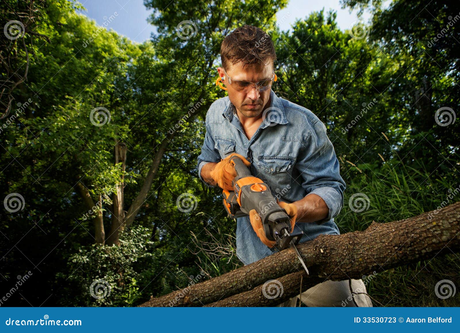 Man Trimming Branches stock image. Image of chop, climbing - 33530723