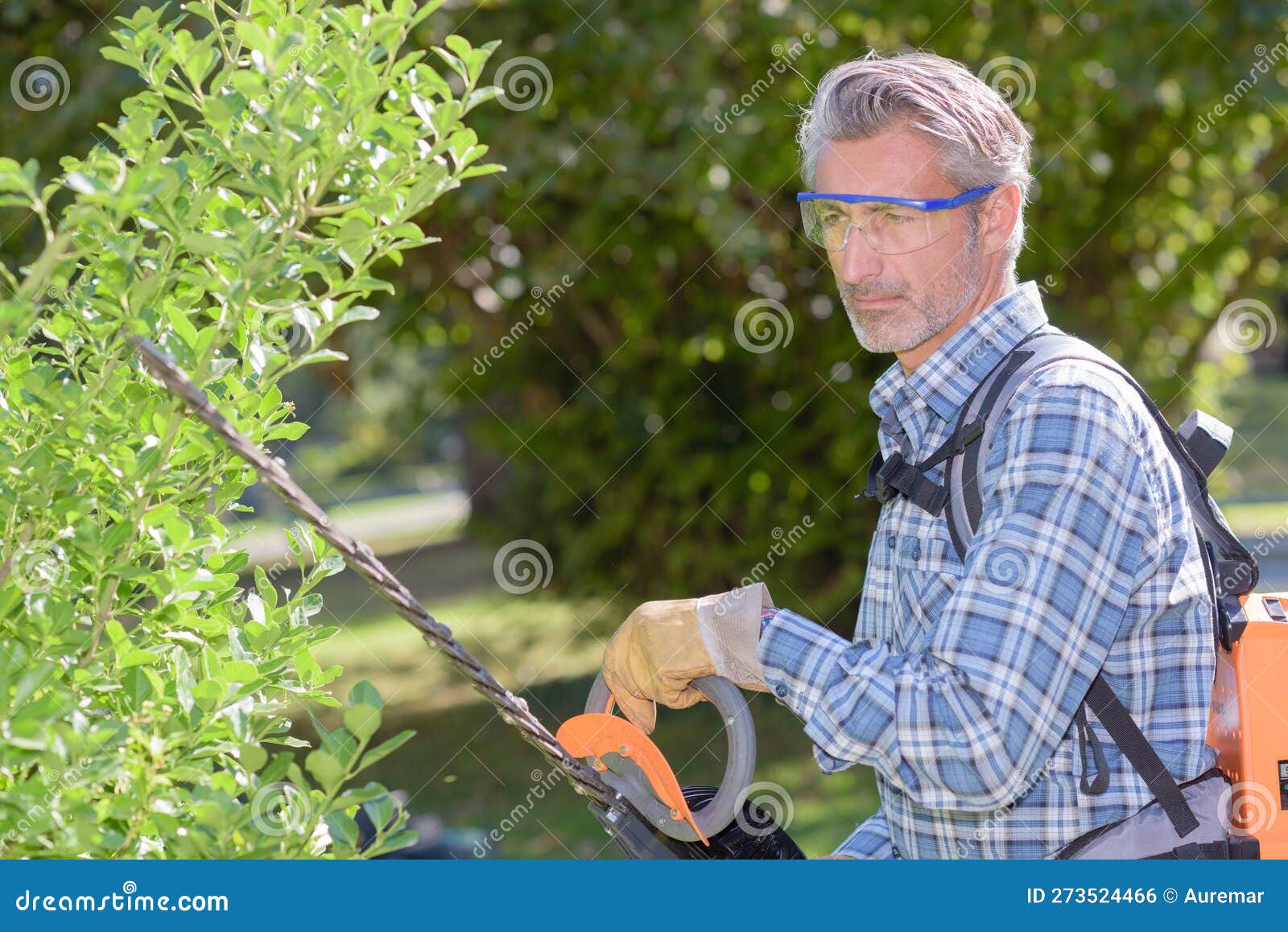 Man trimming bush stock photo. Image of portable, trimming - 273524466