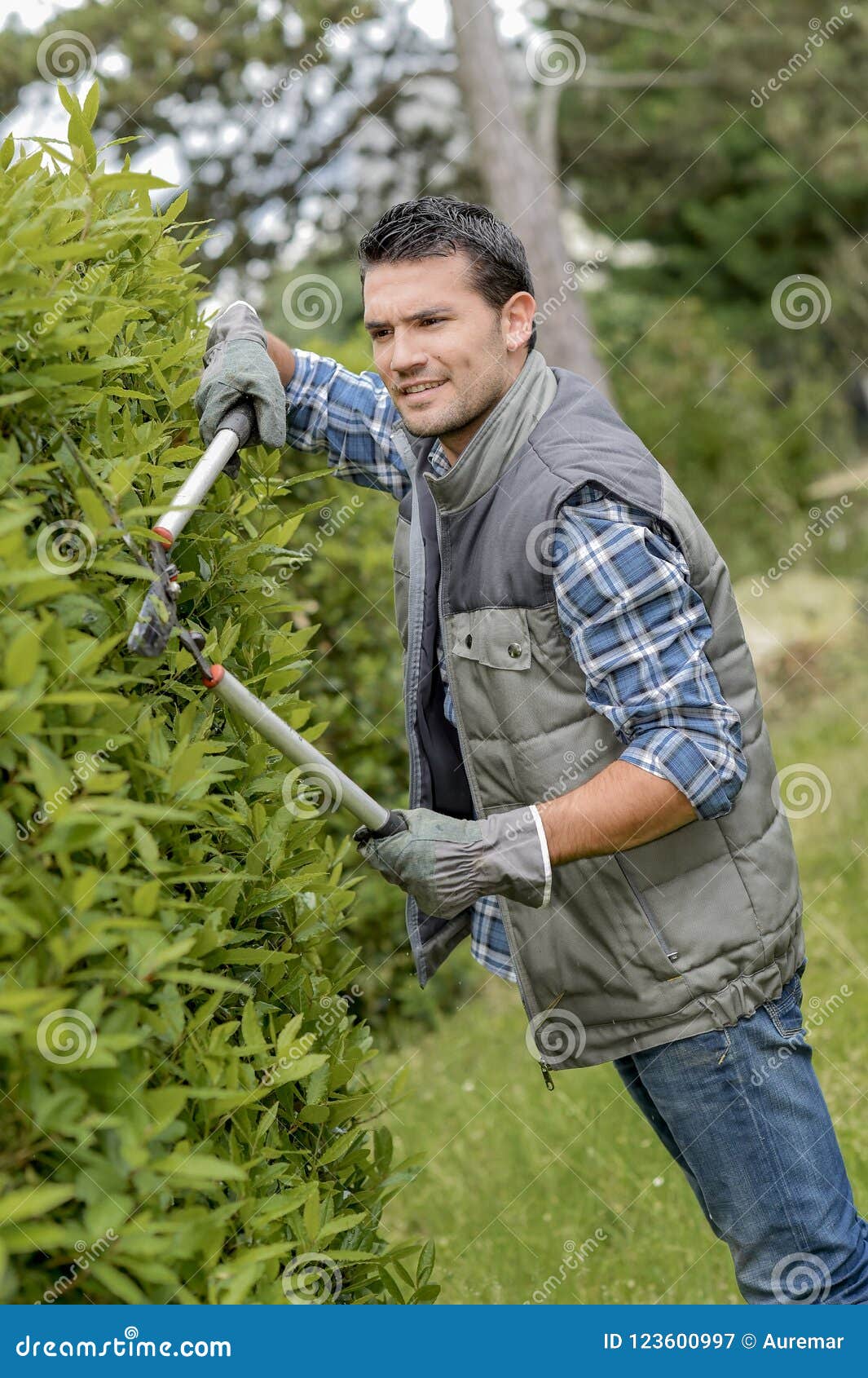 Man Trimming Bush with Shears Stock Image - Image of handles, crafting ...