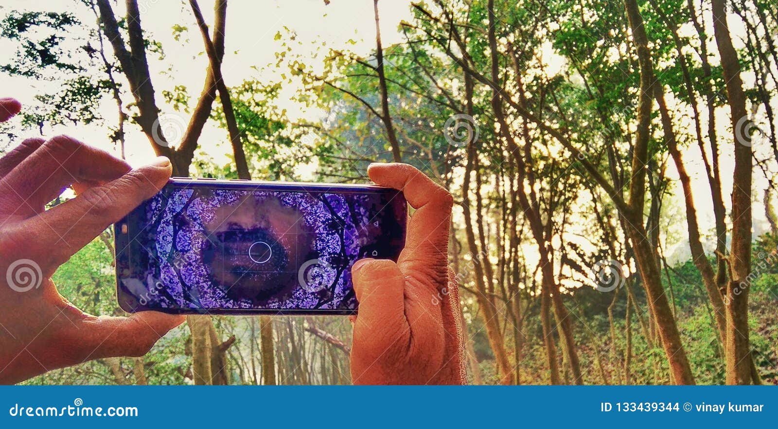 Mobile click stock photo. Image of forest, phone, snap - 133439344