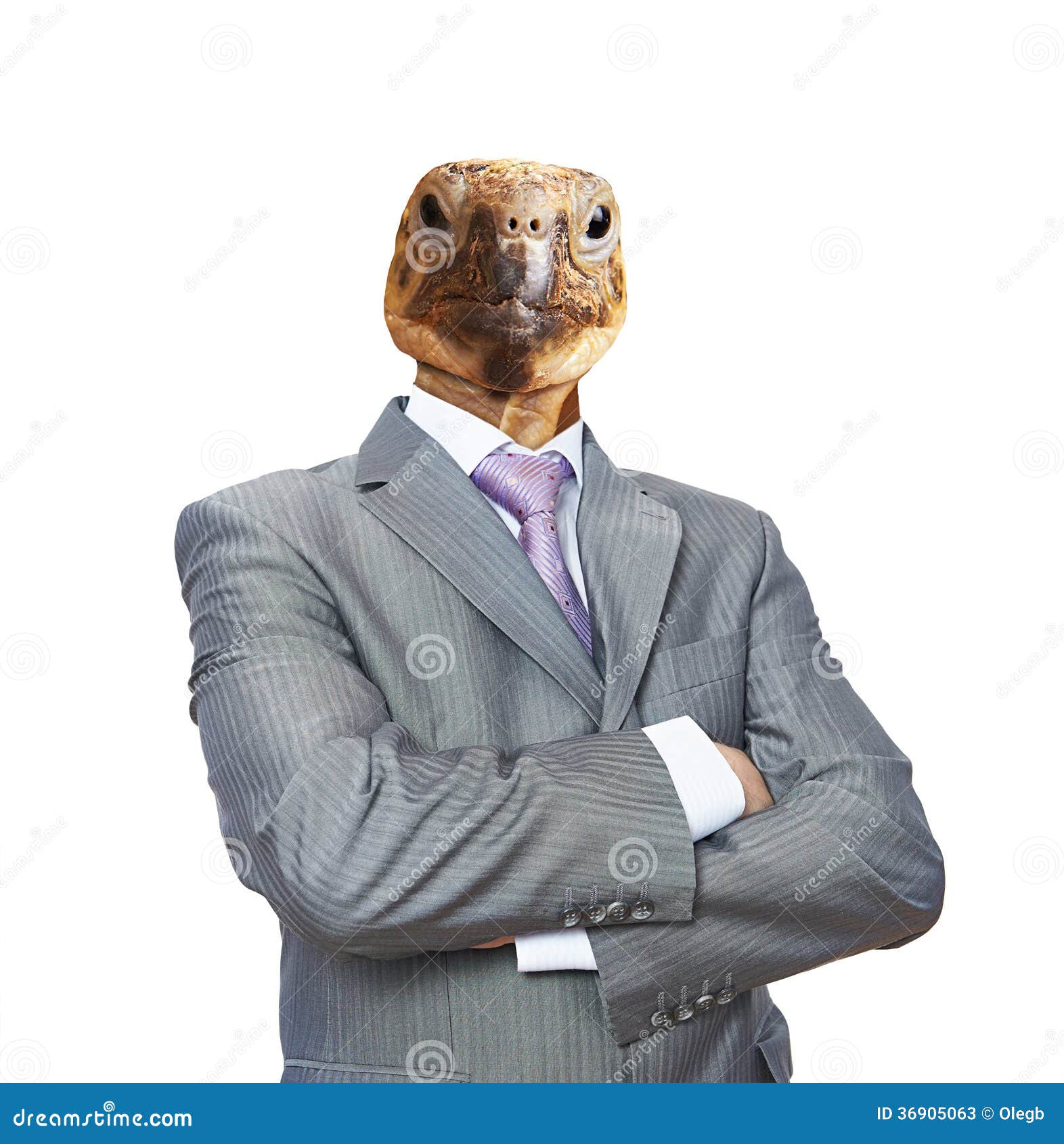 Man with turtle head stock image. Image of boss, luxury - 36905063