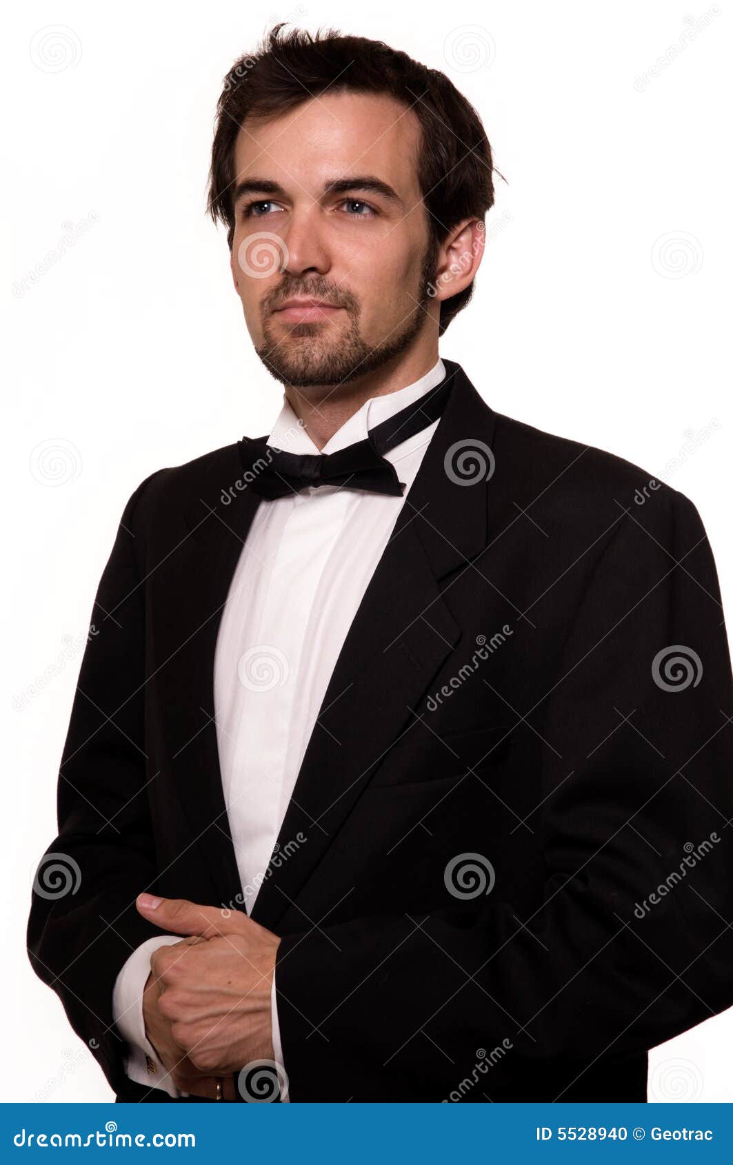 Man in tuxedo stock photo. Image of formal, businessman - 5528940