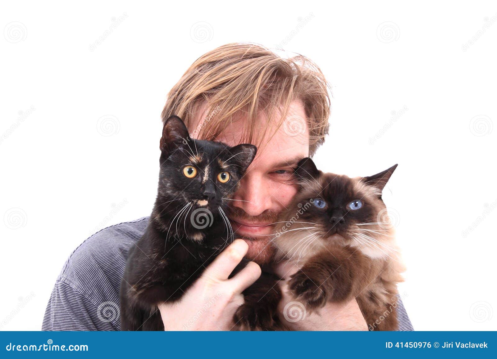 Man and two cats stock photo. Image of ragdoll, siamese - 41450976
