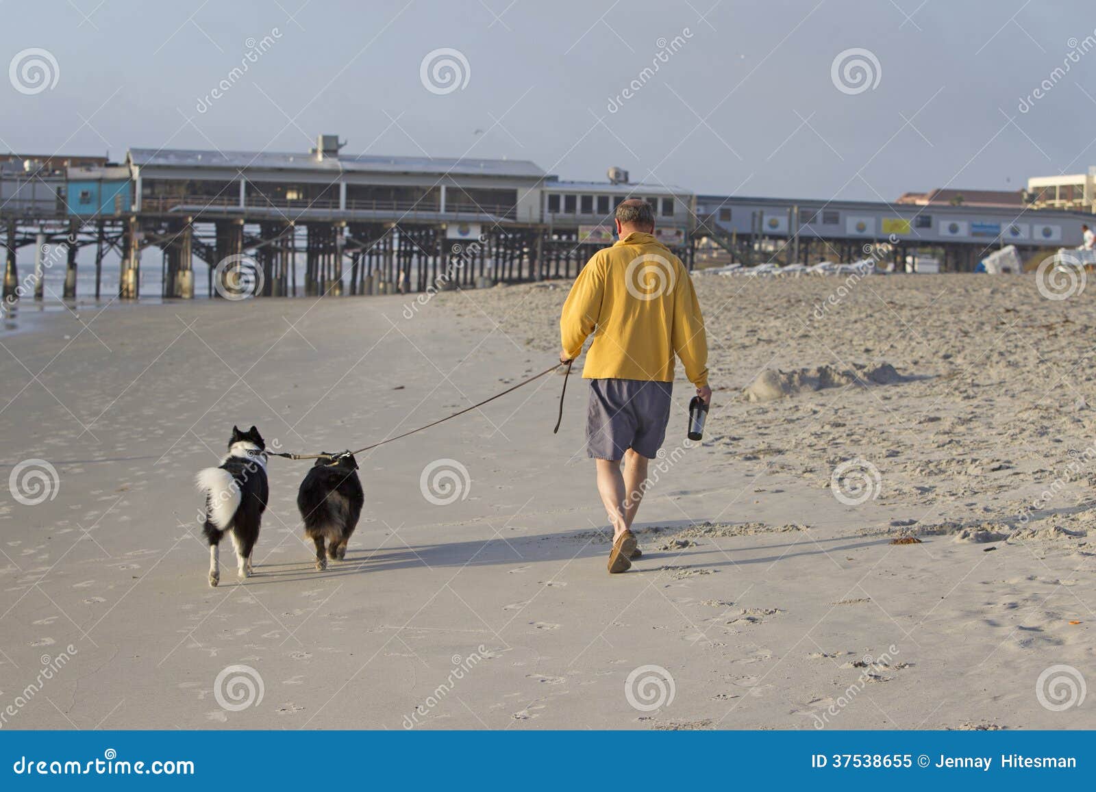 Man with two dogs stock image. Image of walking, pets - 37538655