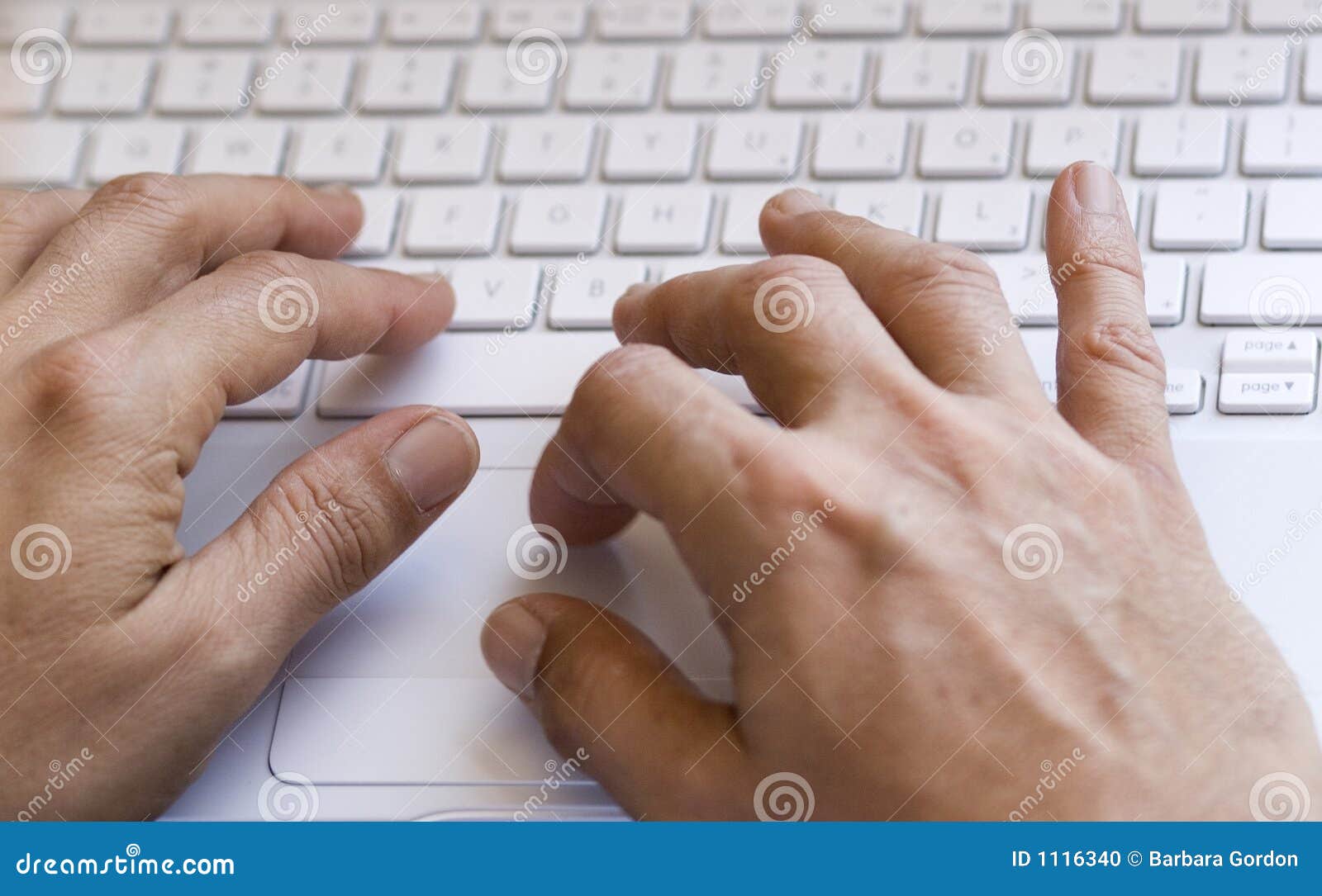 Man Typing stock photo. Image of caucasian, business, laptop - 1116340