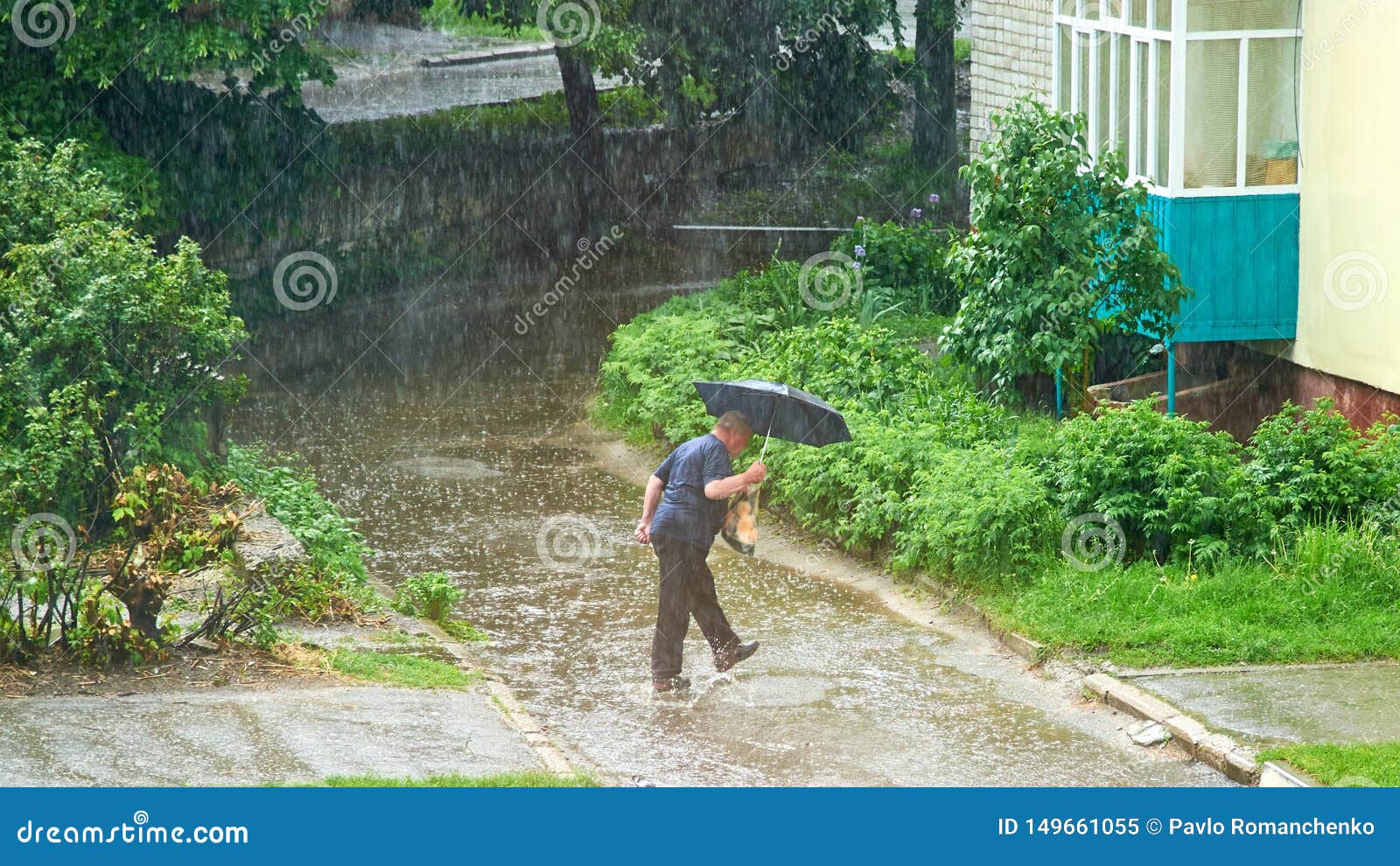 A Man with an Umbrella Jumps Over a Puddle during Heavy Rain in Summer ...