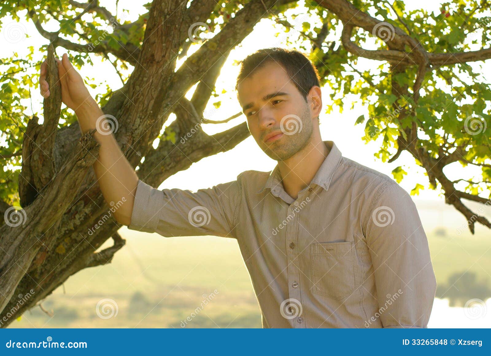 Man under tree stock photo. Image of brunette, pants - 33265848