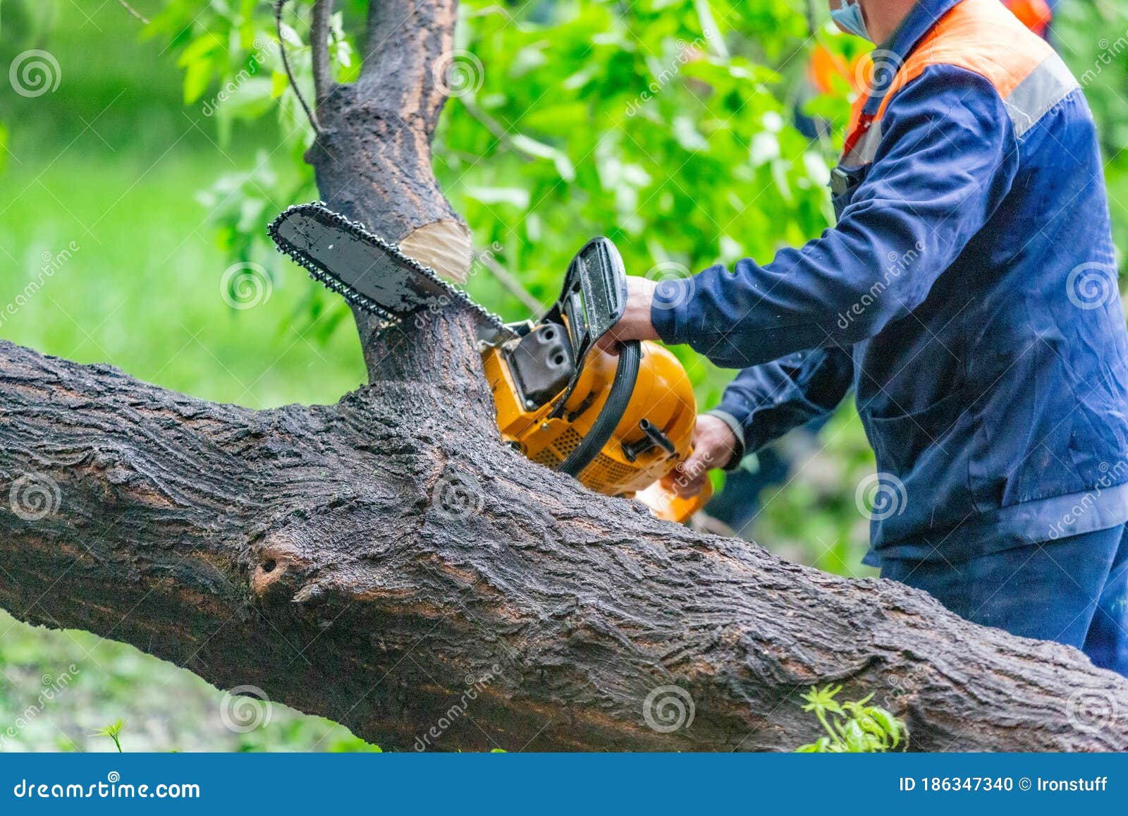 Man in Uniform Sawing a Tree with a Chainsaw Stock Photo - Image of ...