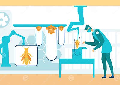 Man in Uniform Studying Bees in Laboratory. Vector Stock Vector ...