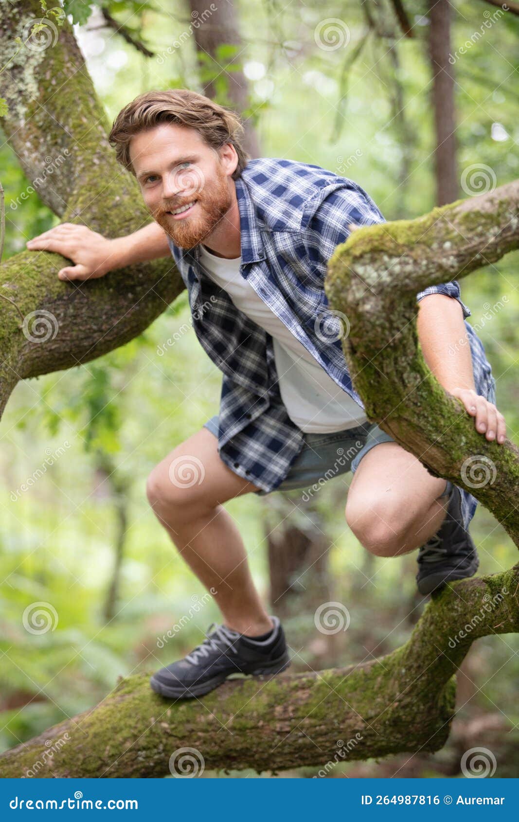 Man up on tree stock photo. Image of equipment, life - 264987816