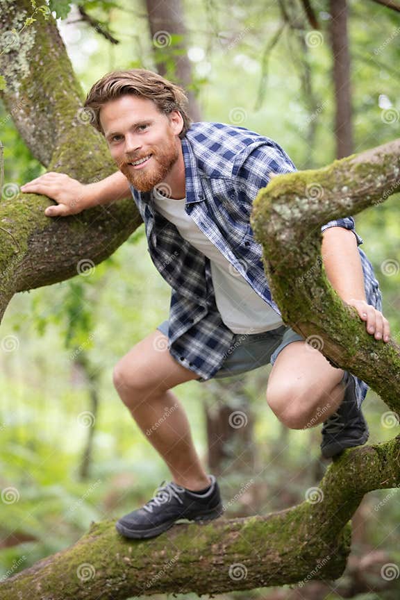 Man up on tree stock photo. Image of equipment, life - 264987816