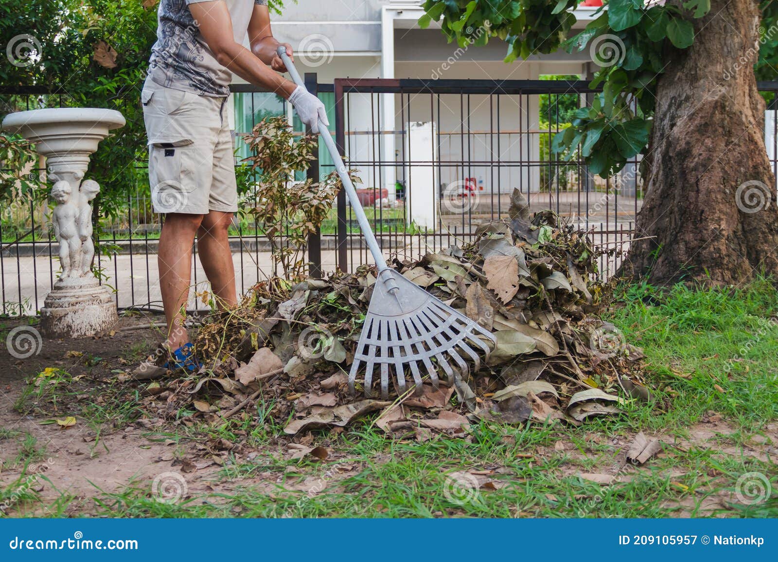 Man Use Fork Collect Leaf Tree at Garden Home Stock Image - Image of ...