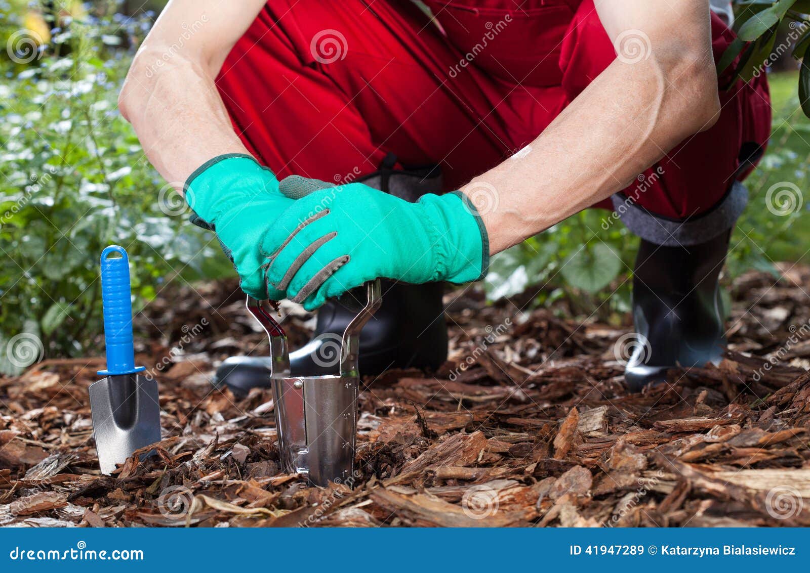 Man Uses Tools To Work in the Garden Stock Image - Image of outside ...
