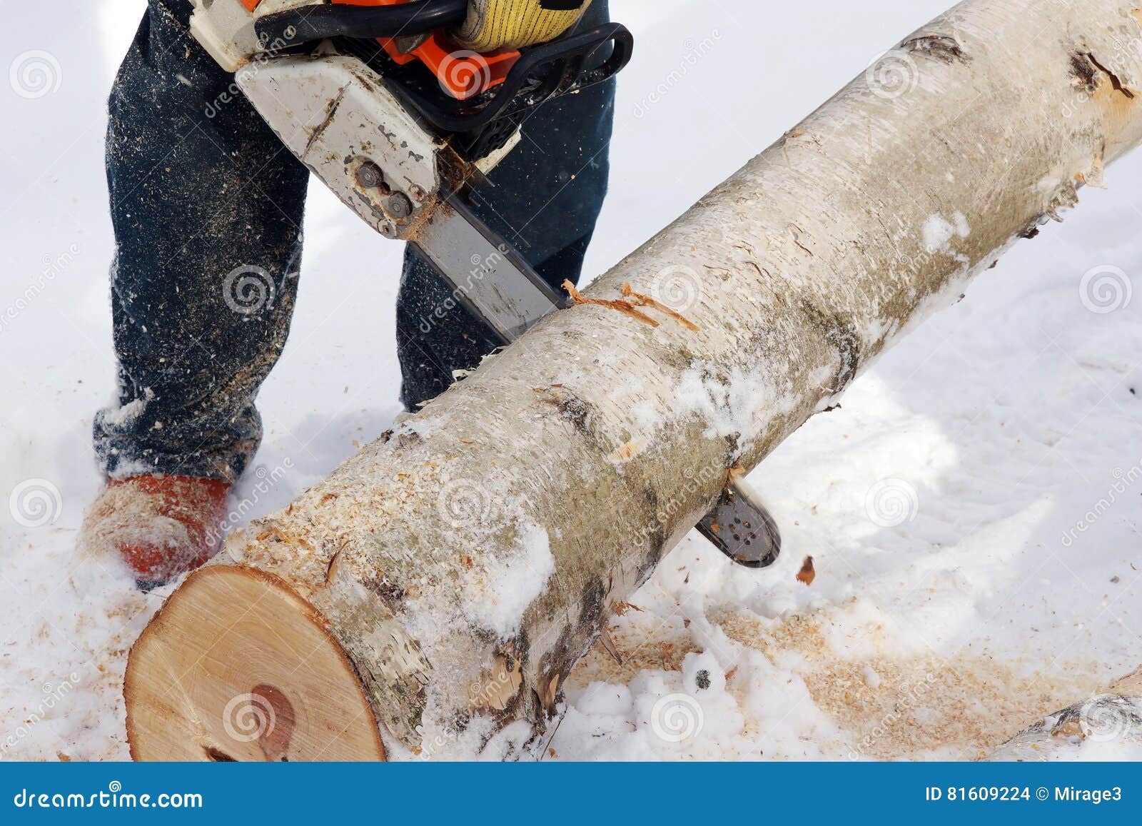 Man using chainsaw stock photo. Image of security, steel - 81609224
