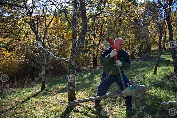 Man Using Equipment for Pulling Tree Trunk Stock Image - Image of ...