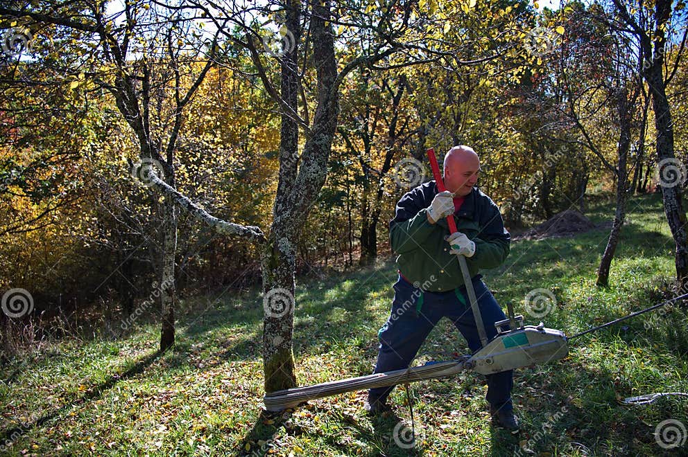 Man Using Equipment for Pulling Tree Trunk Stock Image - Image of ...