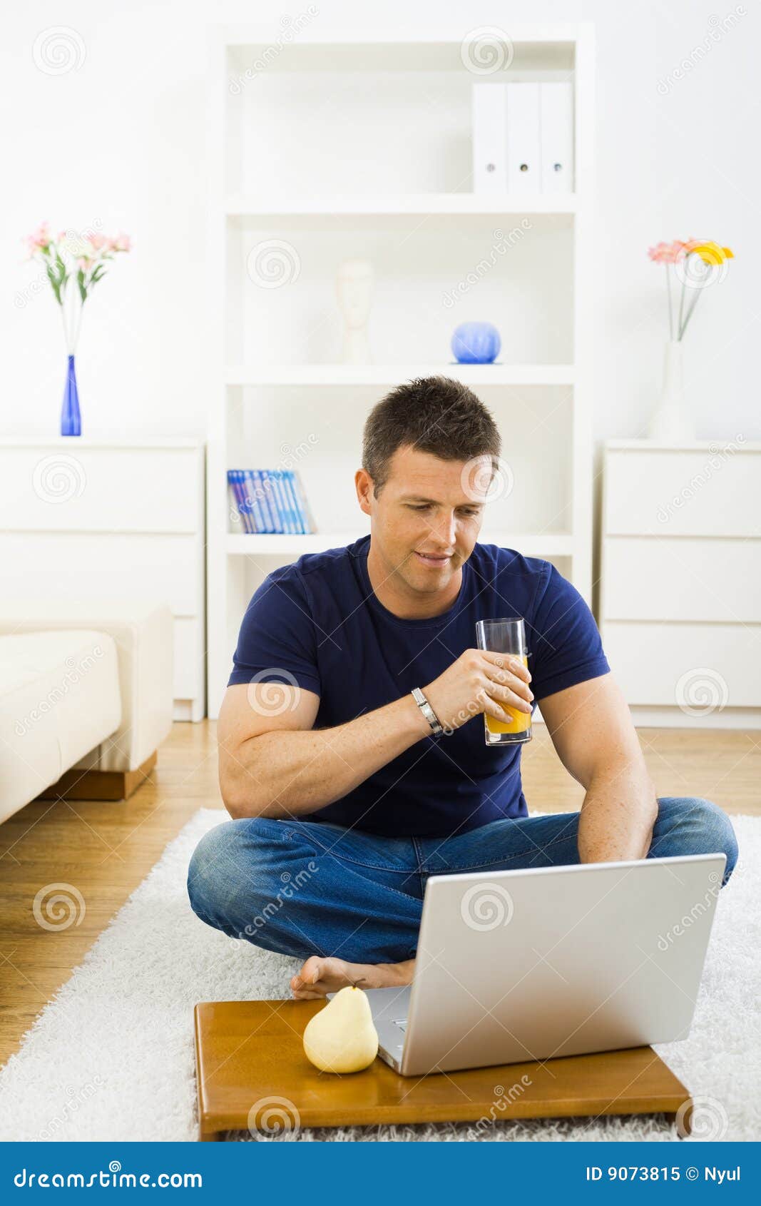 Man using laptop at home stock image. Image of internet - 9073815
