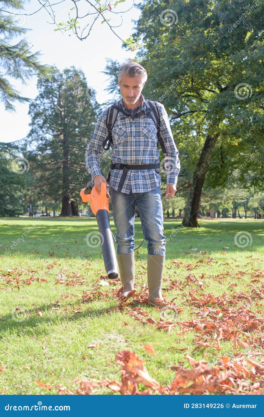 Man using leaf blower stock photo. Image of grass, aged - 283149226