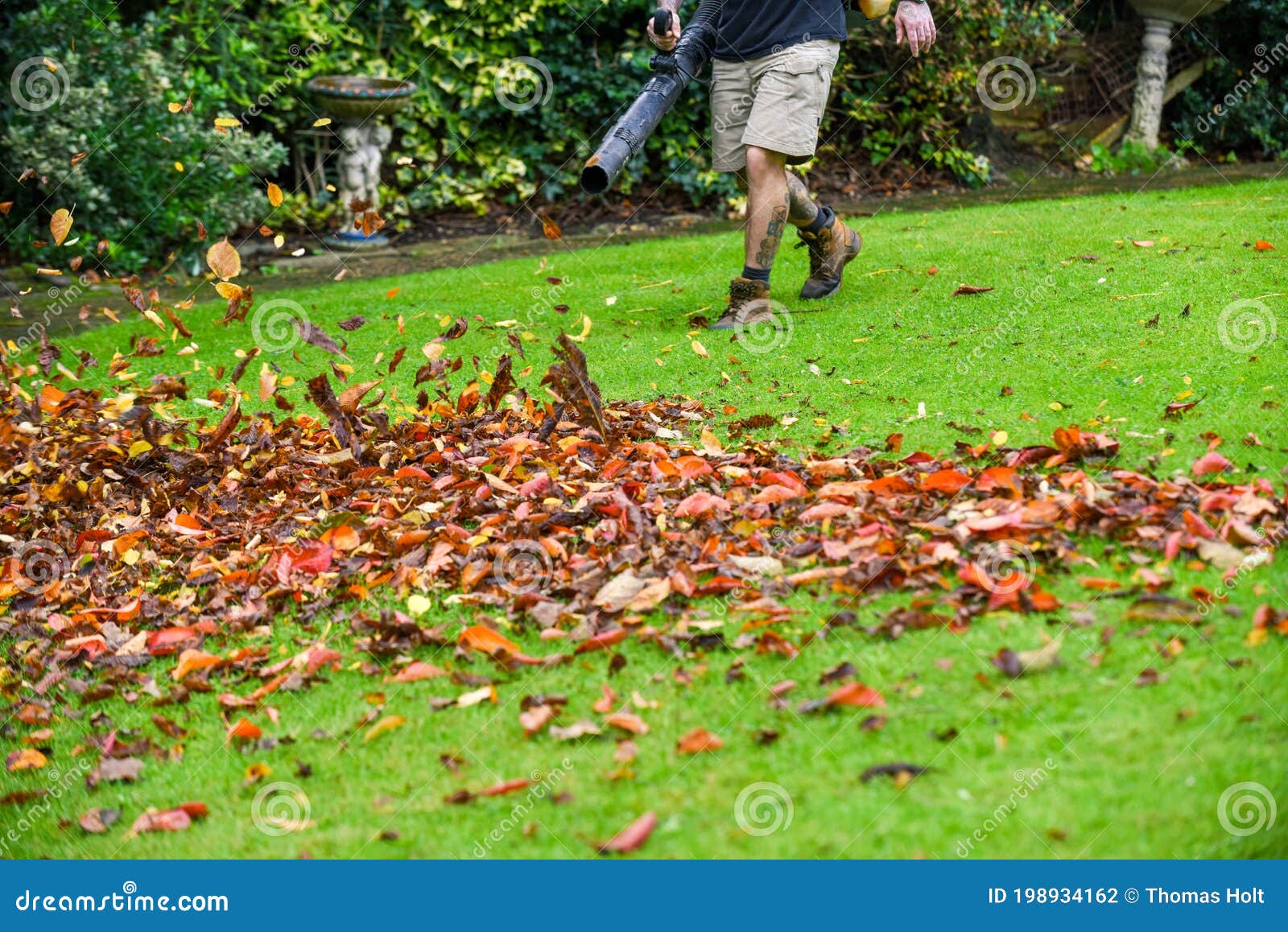 A Man Using a Leaf Blower Machine To Clear Autumn Leaves from a Garden ...