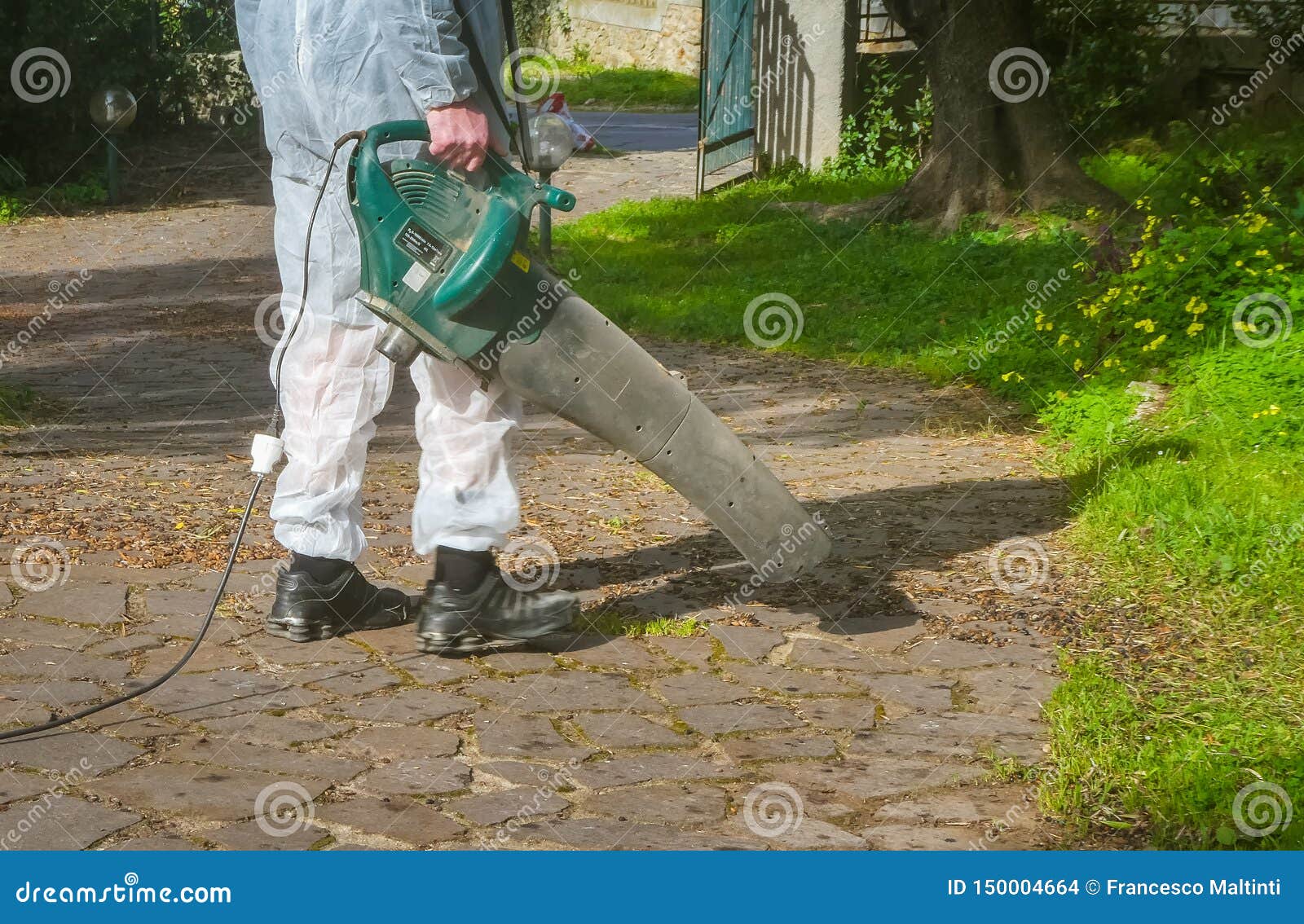 Man using a leaf blower stock photo. Image of gardening - 150004664