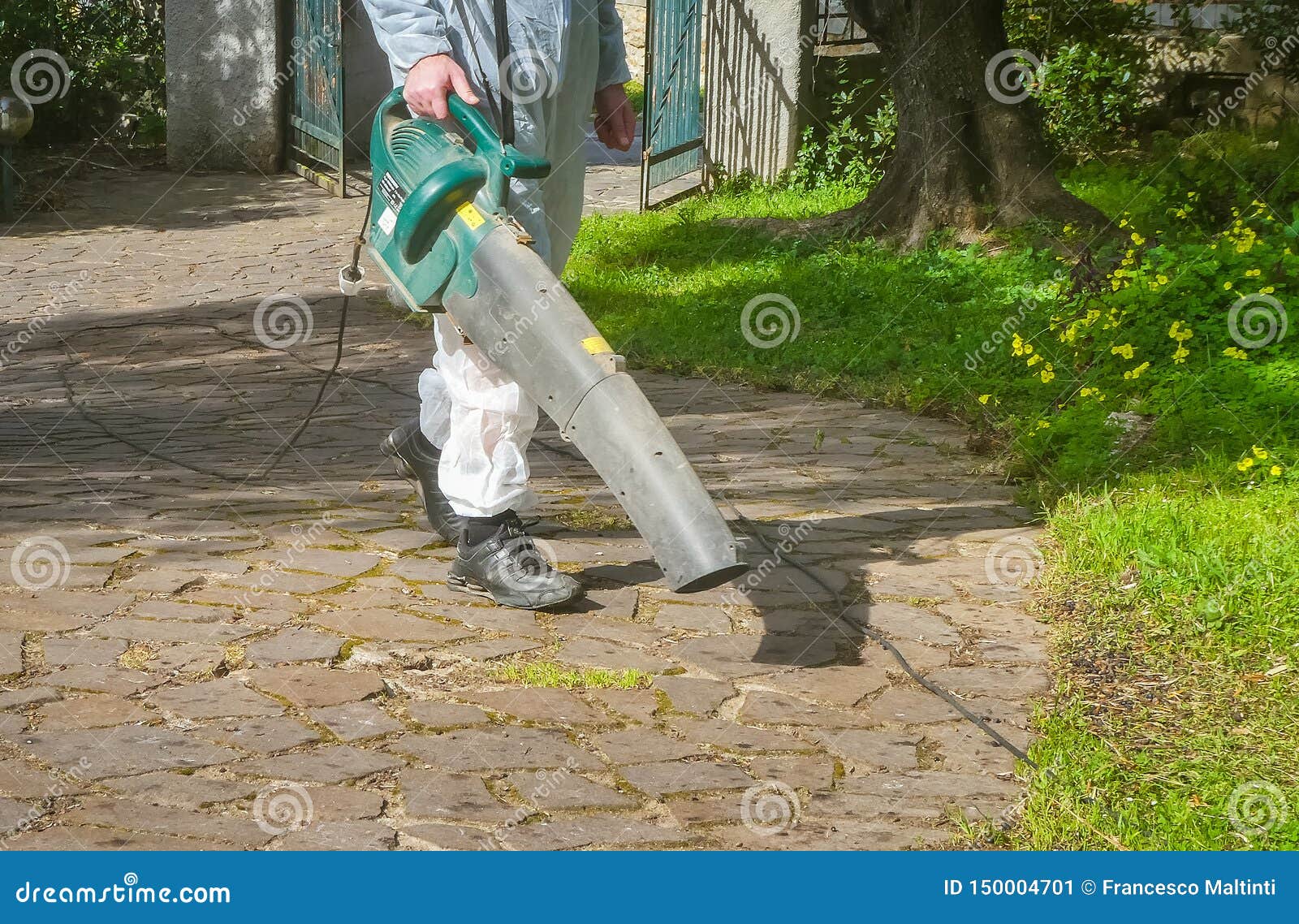 Man using a leaf blower stock image. Image of work, green - 150004701