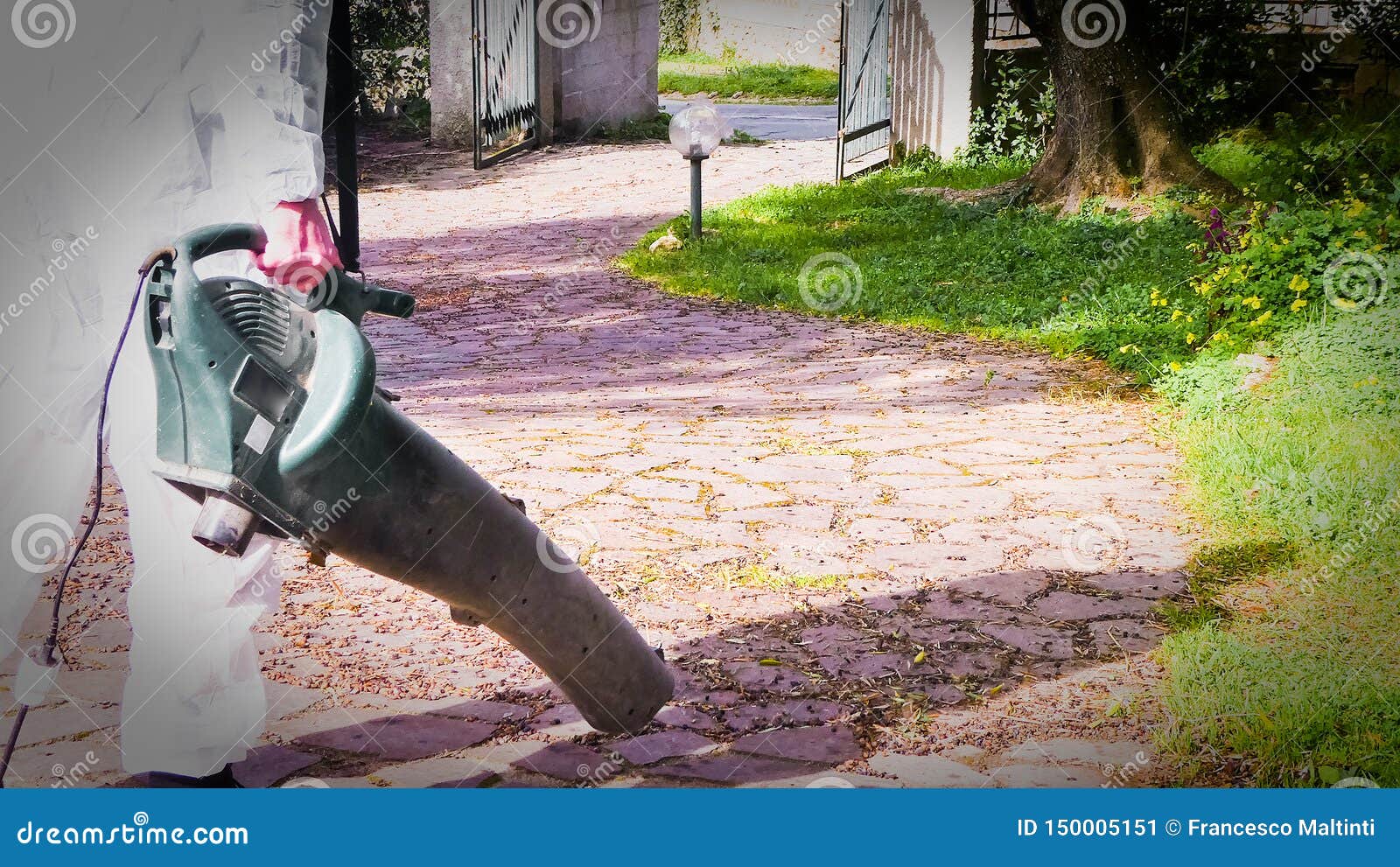 Man using a leaf blower stock image. Image of blower - 150005151