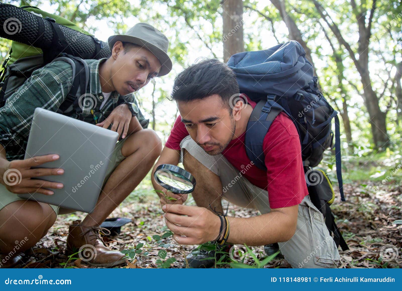 Man Using Magnifying Glass in the Forest Stock Image - Image of ...