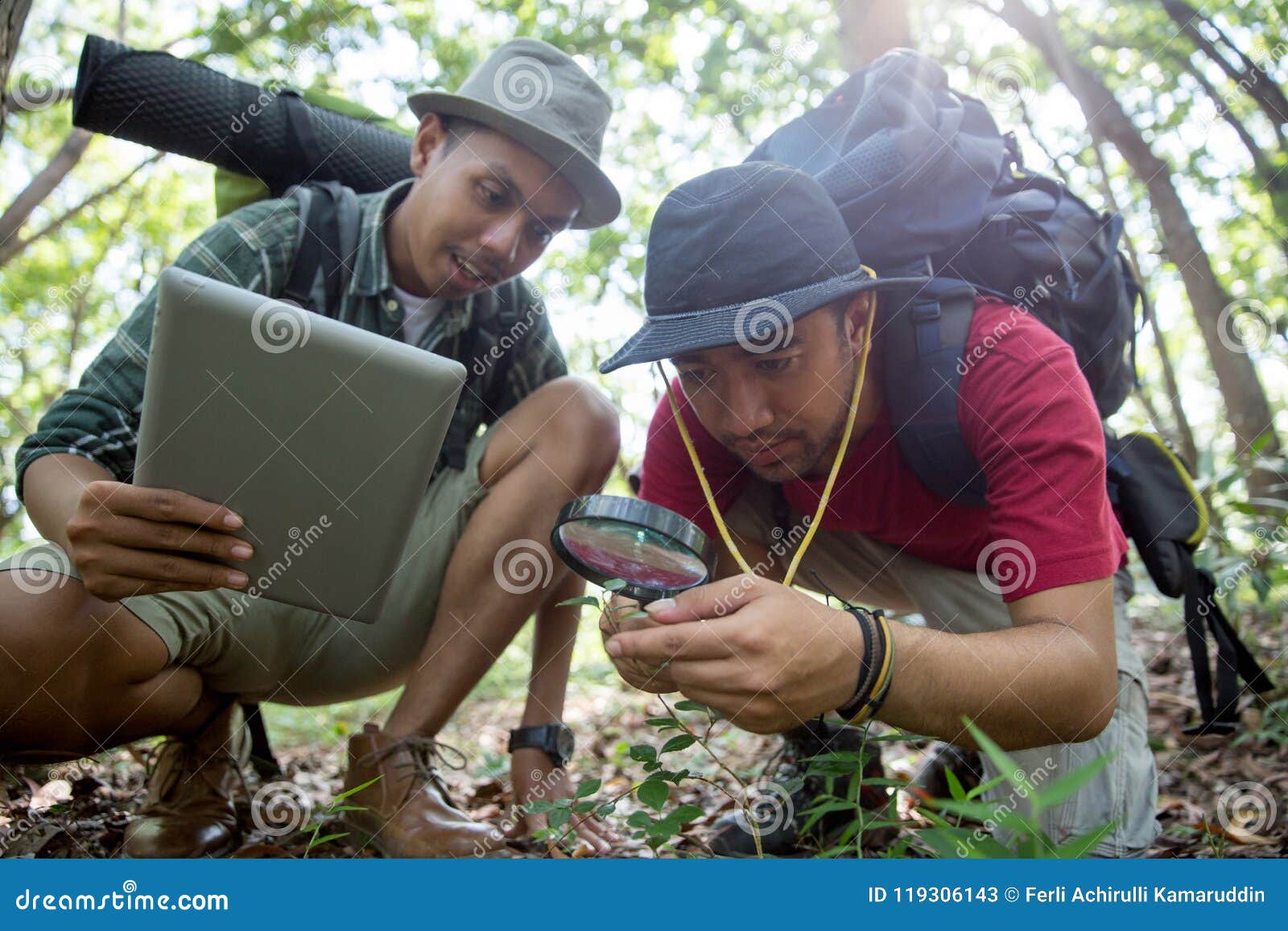 Man Using Magnifying Glass in the Forest Stock Image - Image of hiking ...
