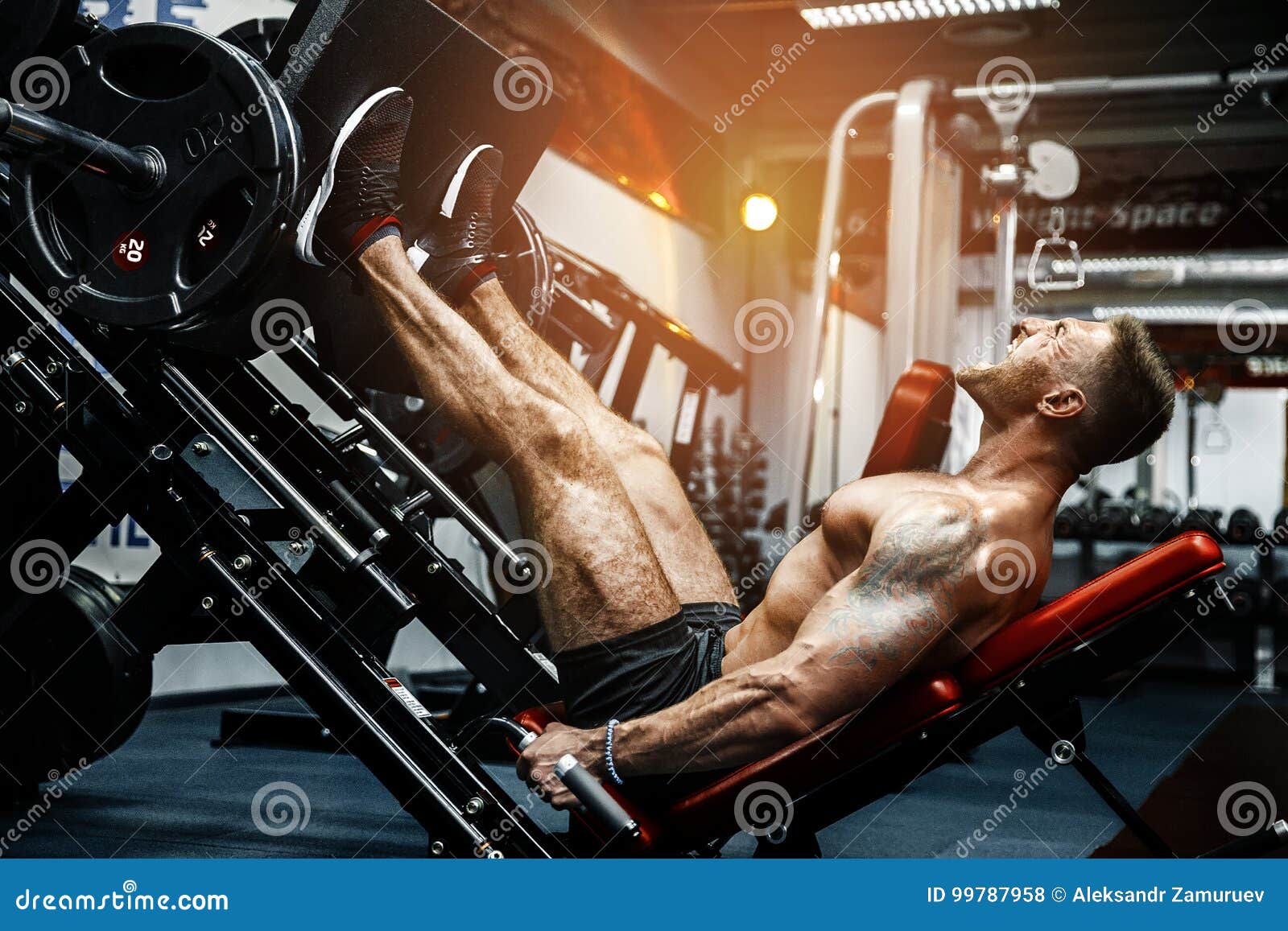 Man Using a Press Machine in a Fitness Club. Strong Man Doing an ...