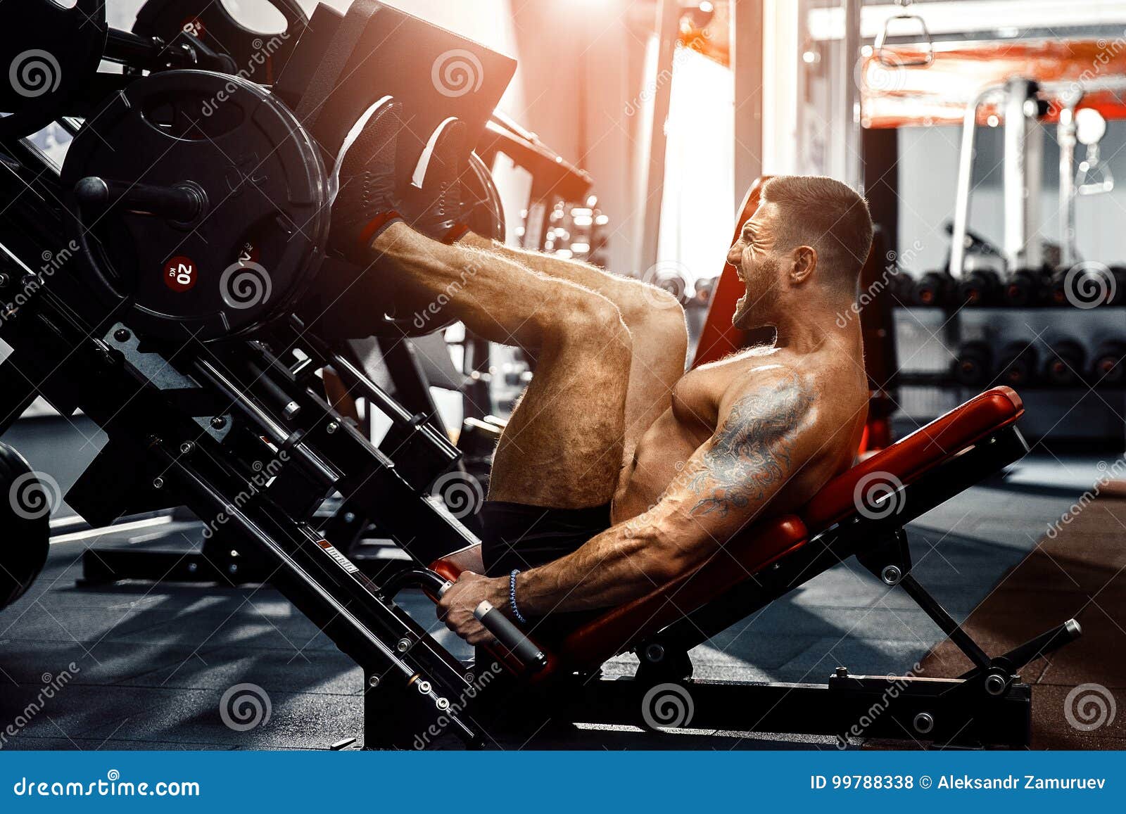 Man Using a Press Machine in a Fitness Club. Strong Man Doing an ...