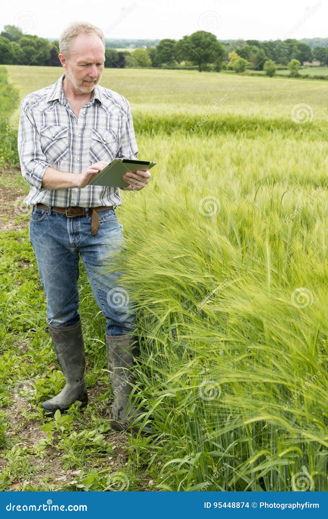Man Using a Tablet Computer in a Wheat Field Stock Photo - Image of ... Man Using a Tablet Computer in a Wheat Field Stock Photo - Image of ...