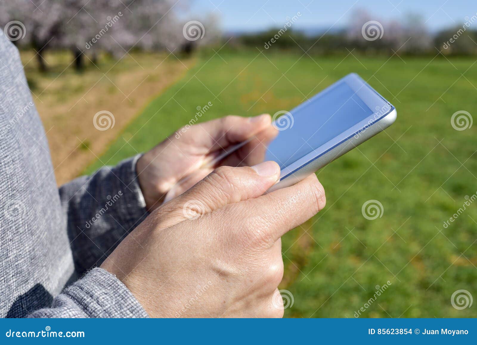 Man Using a Tablet in a Grove of Almond Trees Stock Photo - Image of ...