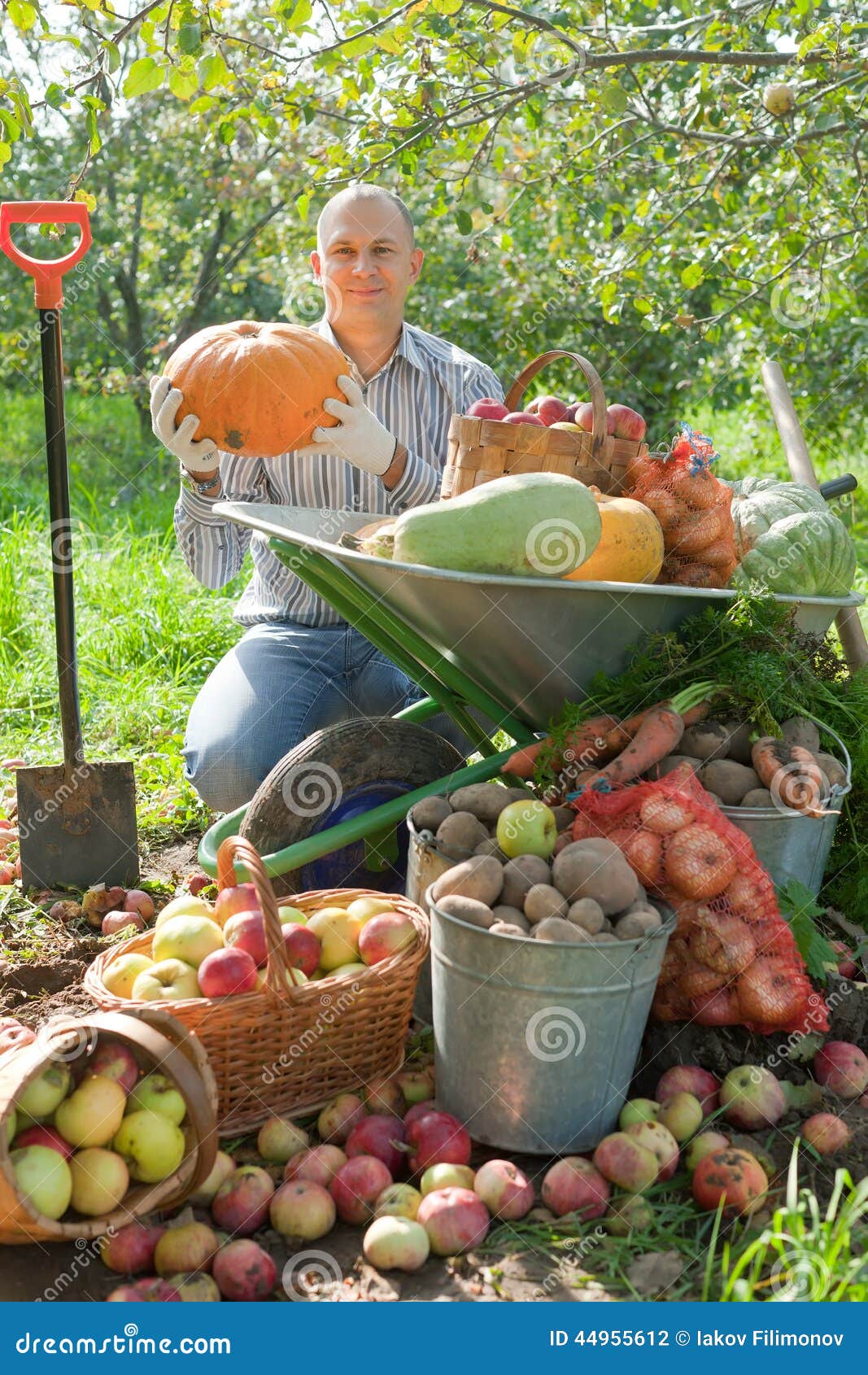 Man with Vegetables Harvest in Garden Stock Photo - Image of carrots ...