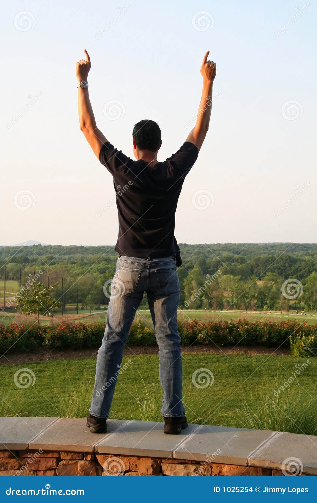 Man in Victory Stance stock photo. Image of leader, outline - 1025254