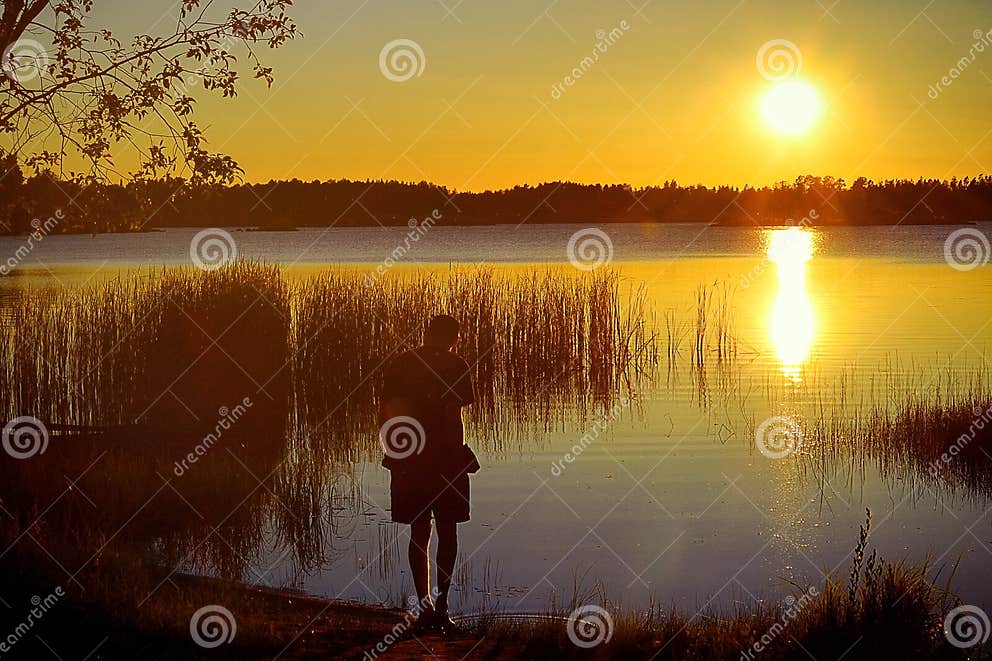 Man viewing the sunset stock photo. Image of beauty, sunny - 59752800