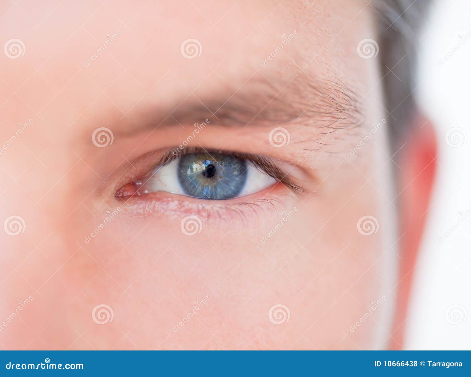 Man vision stock photo. Image of color, male, brunette - 10666438
