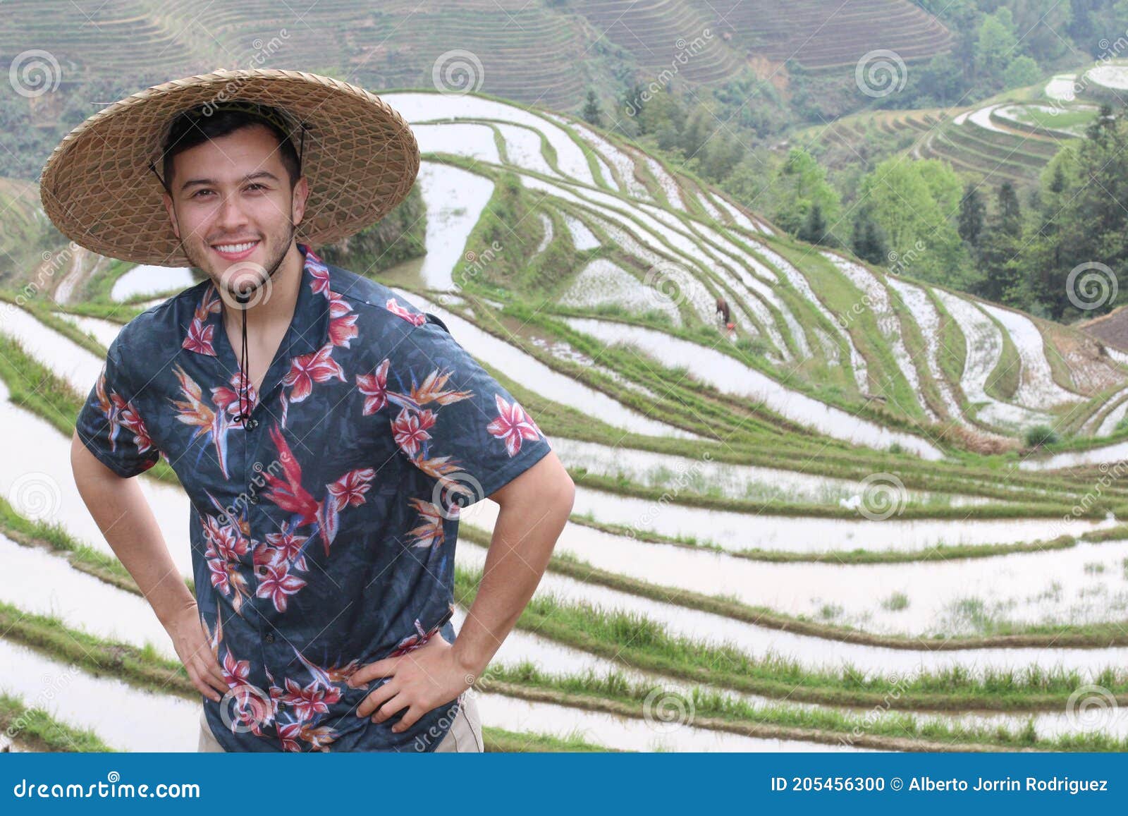 Man Visiting Traditional Asian Rice Fields Stock Photo - Image of ...