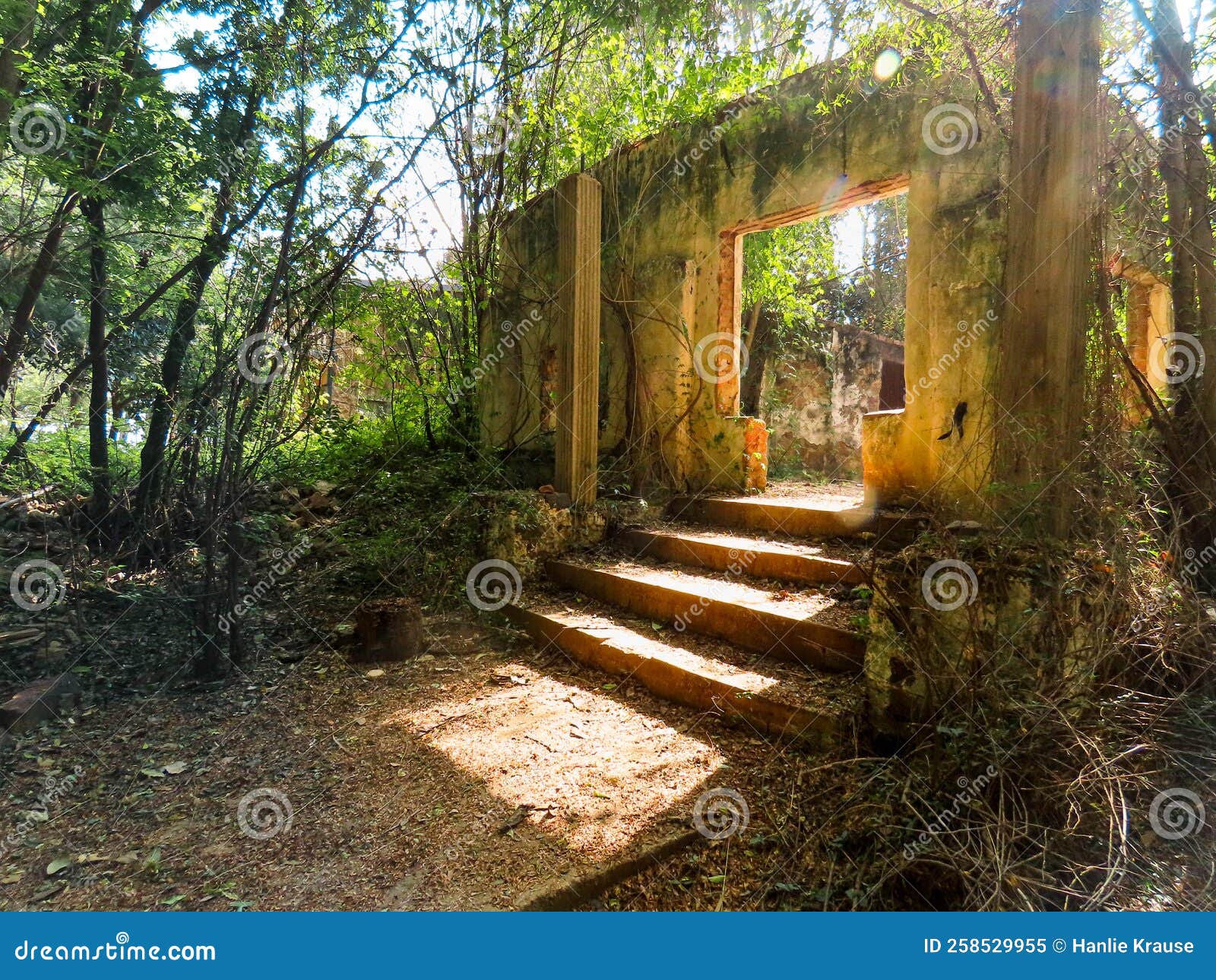 Man vs Nature stock image. Image of autumn, structures - 258529955