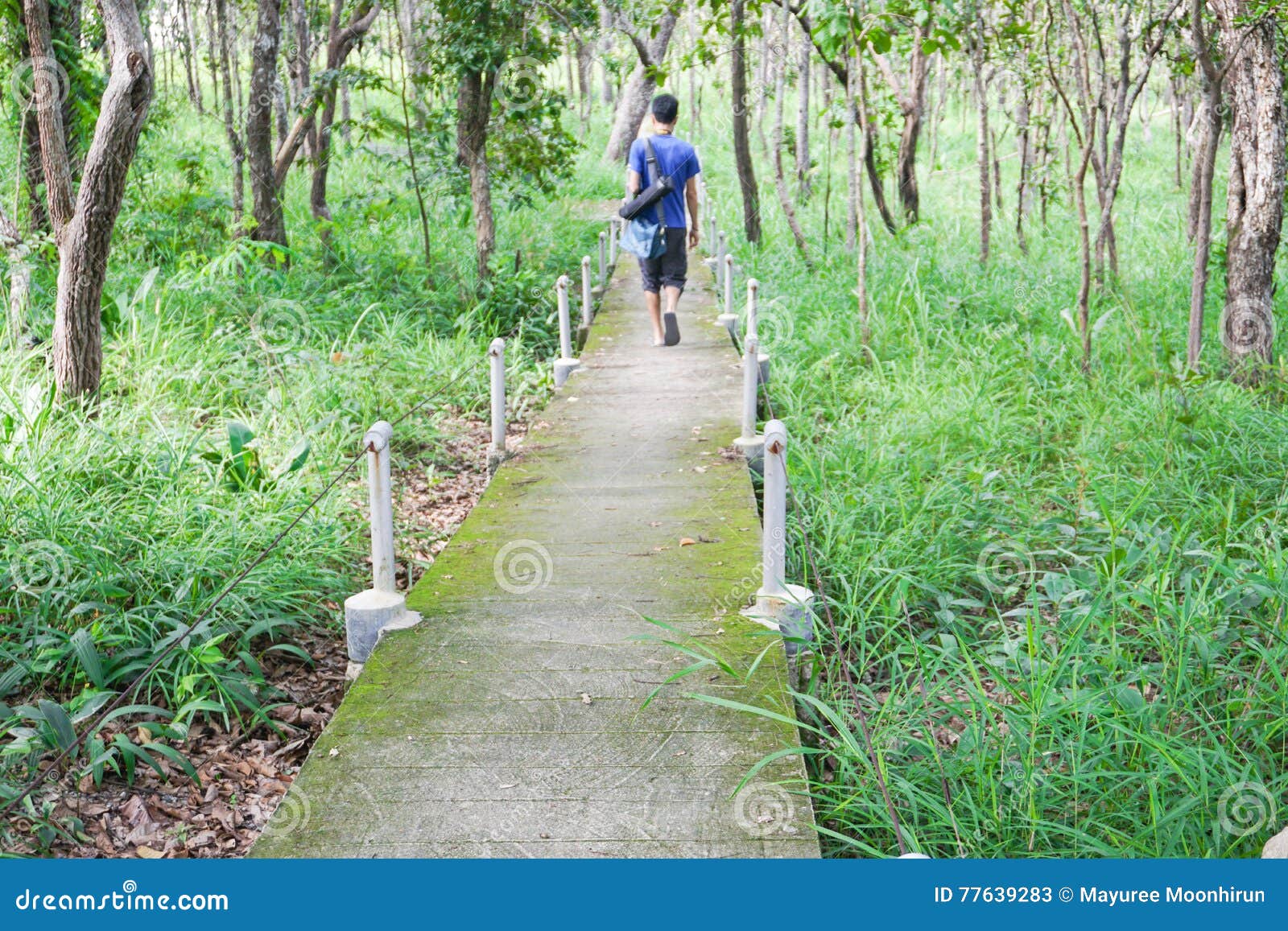 Man Walk on the Concrete Walkway Stock Image - Image of bridge, nature ...