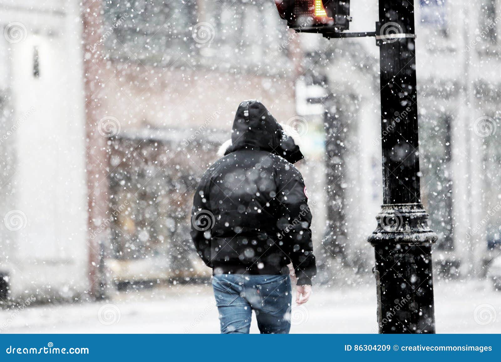 Man Walk In The Storm Picture. Image: 86304209