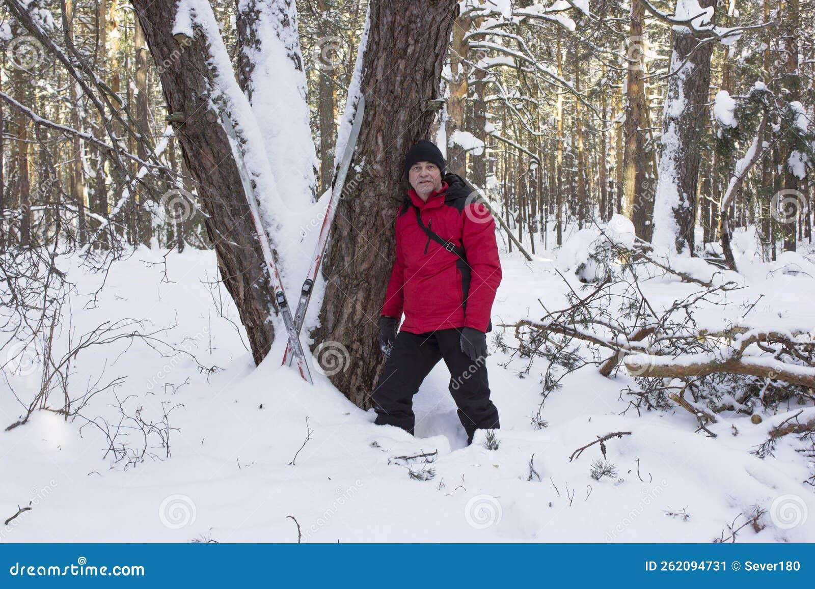 Man Walked through a Snowy Forest, Tired and Leaning Against a Tree ...