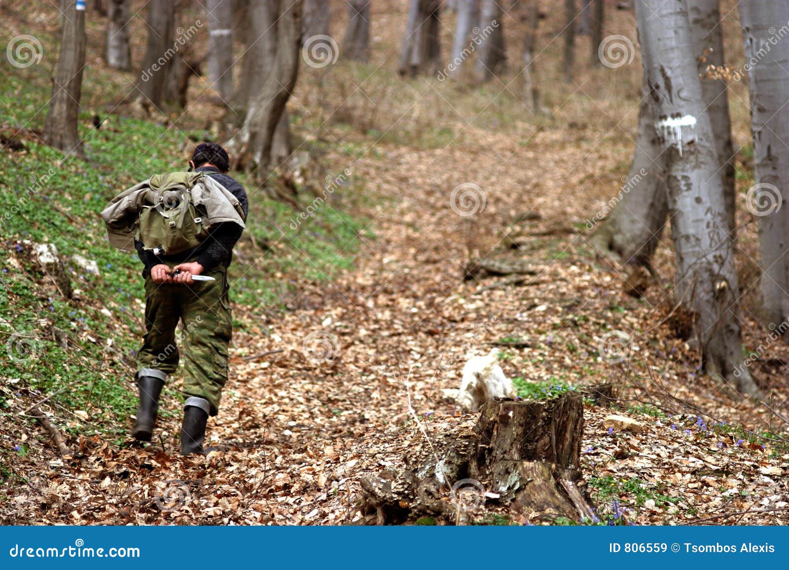 Man walking alone stock image. Image of isolated, escape - 806559